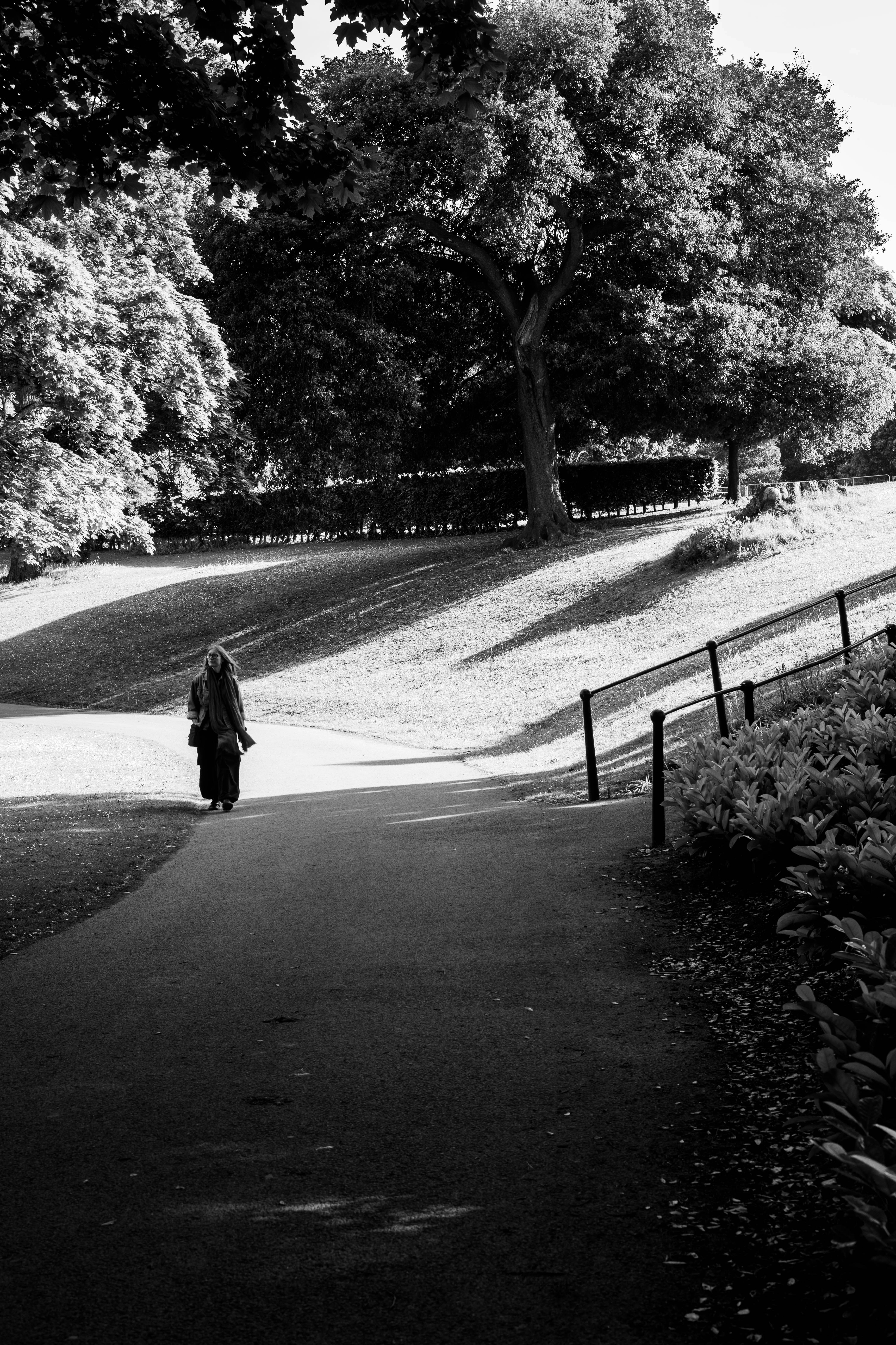 Photo by atelierbyvineeth ... with Fujifilm X-T4