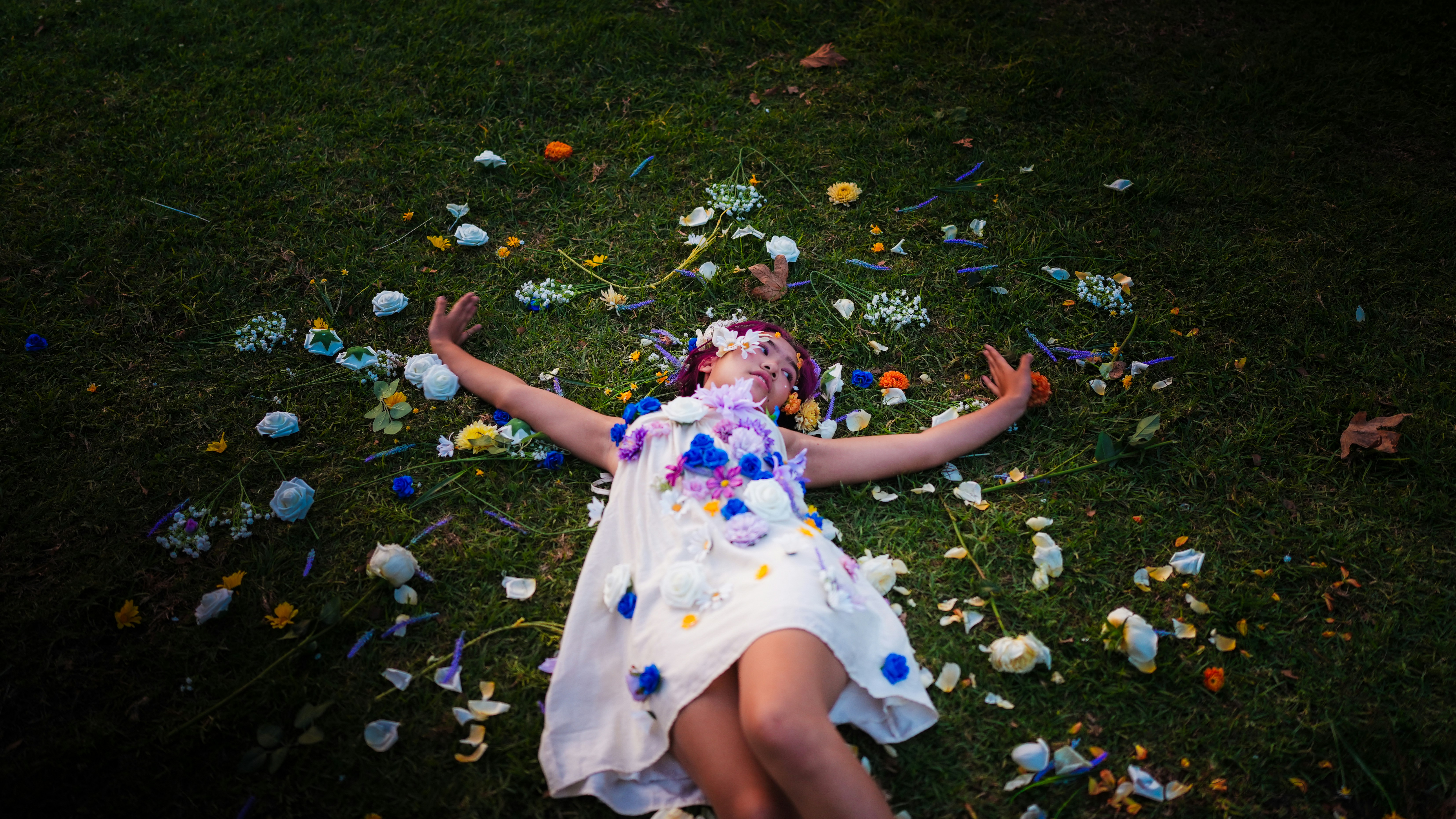 Petals at Rest: A Quiet Moment on the Grass