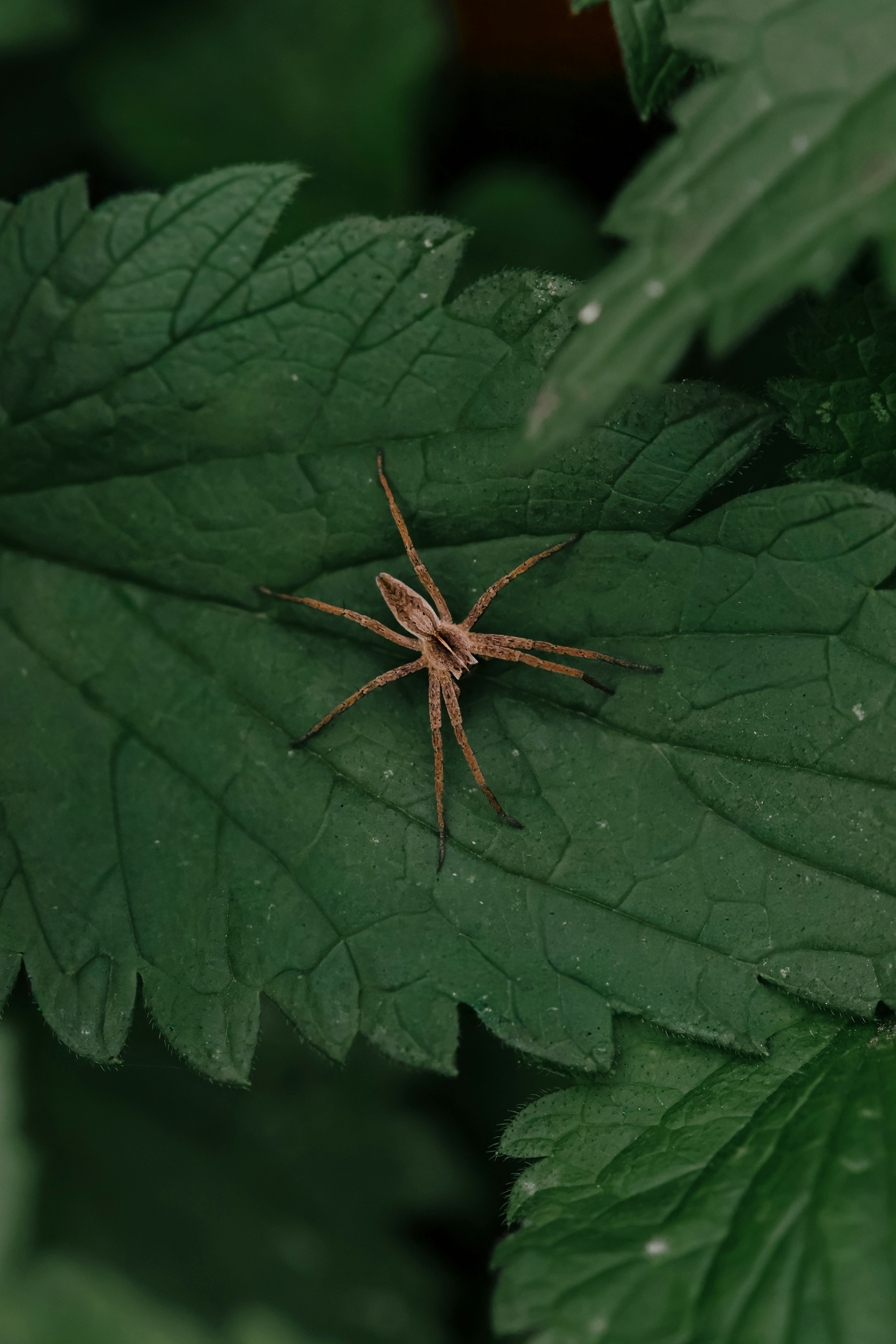 Photo by Flaviu Costin with Canon EOS R50