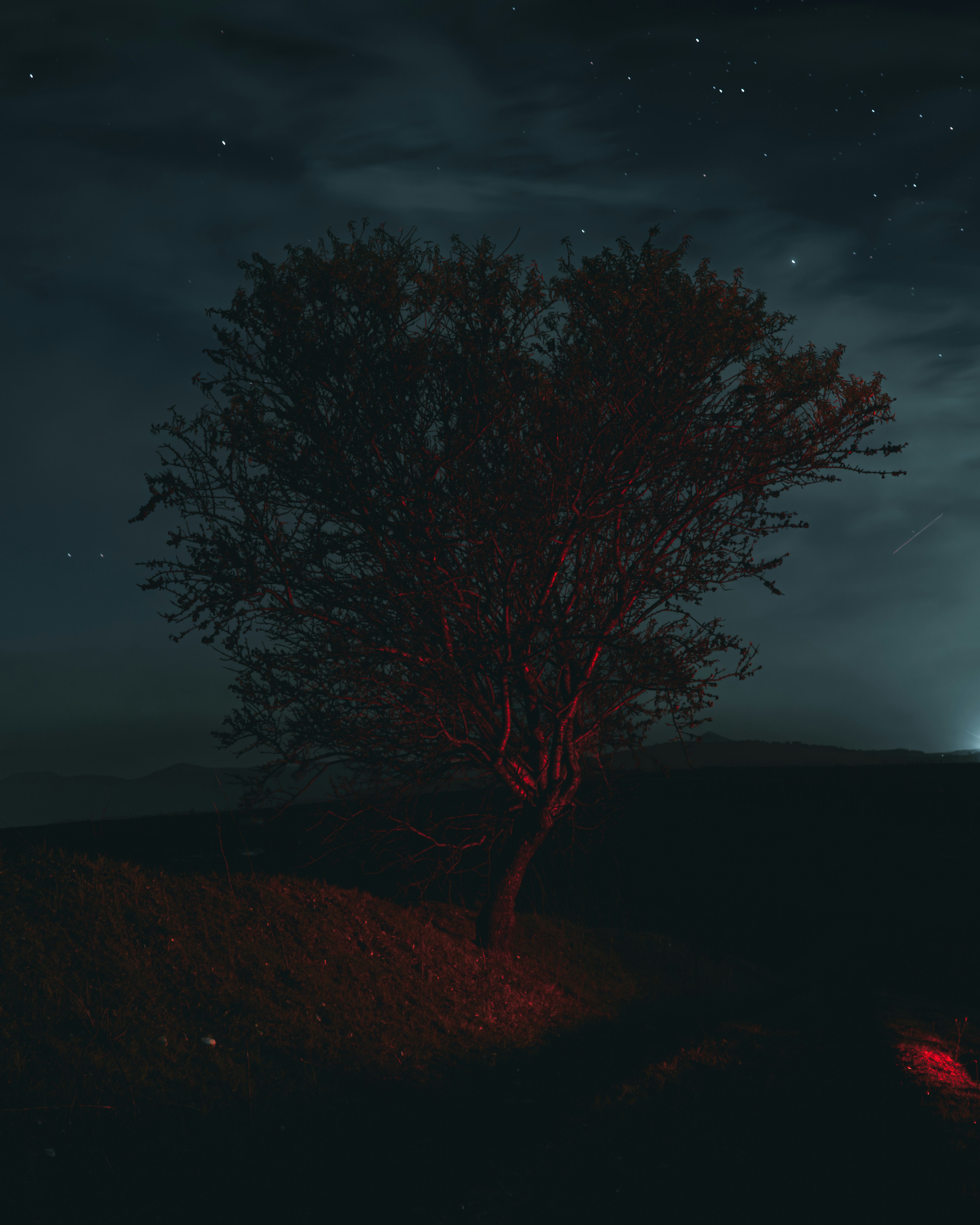 Crimson Sentinel under a Starry Veil