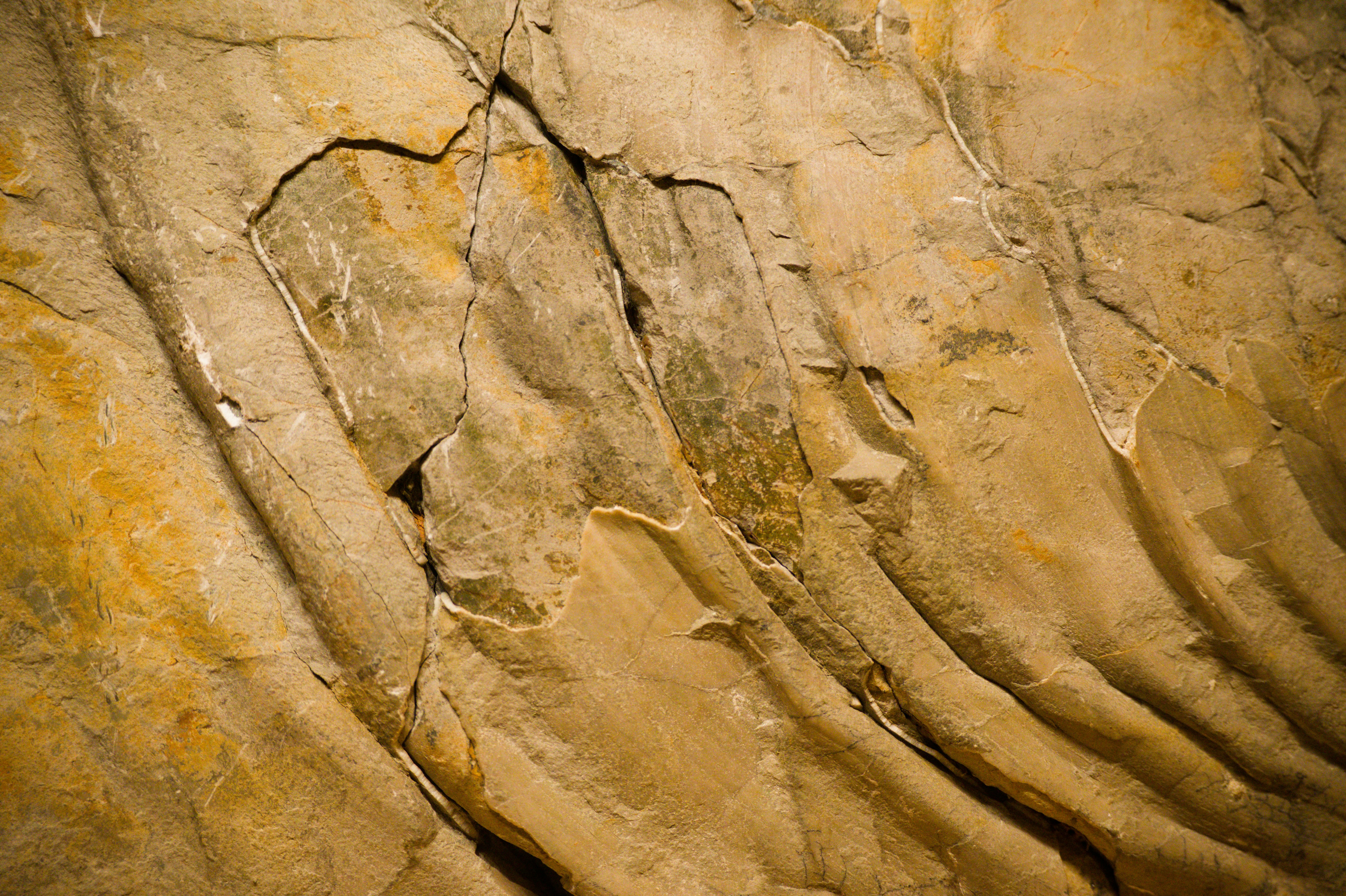 Photo by Amin Zabardast with Nikon Z30