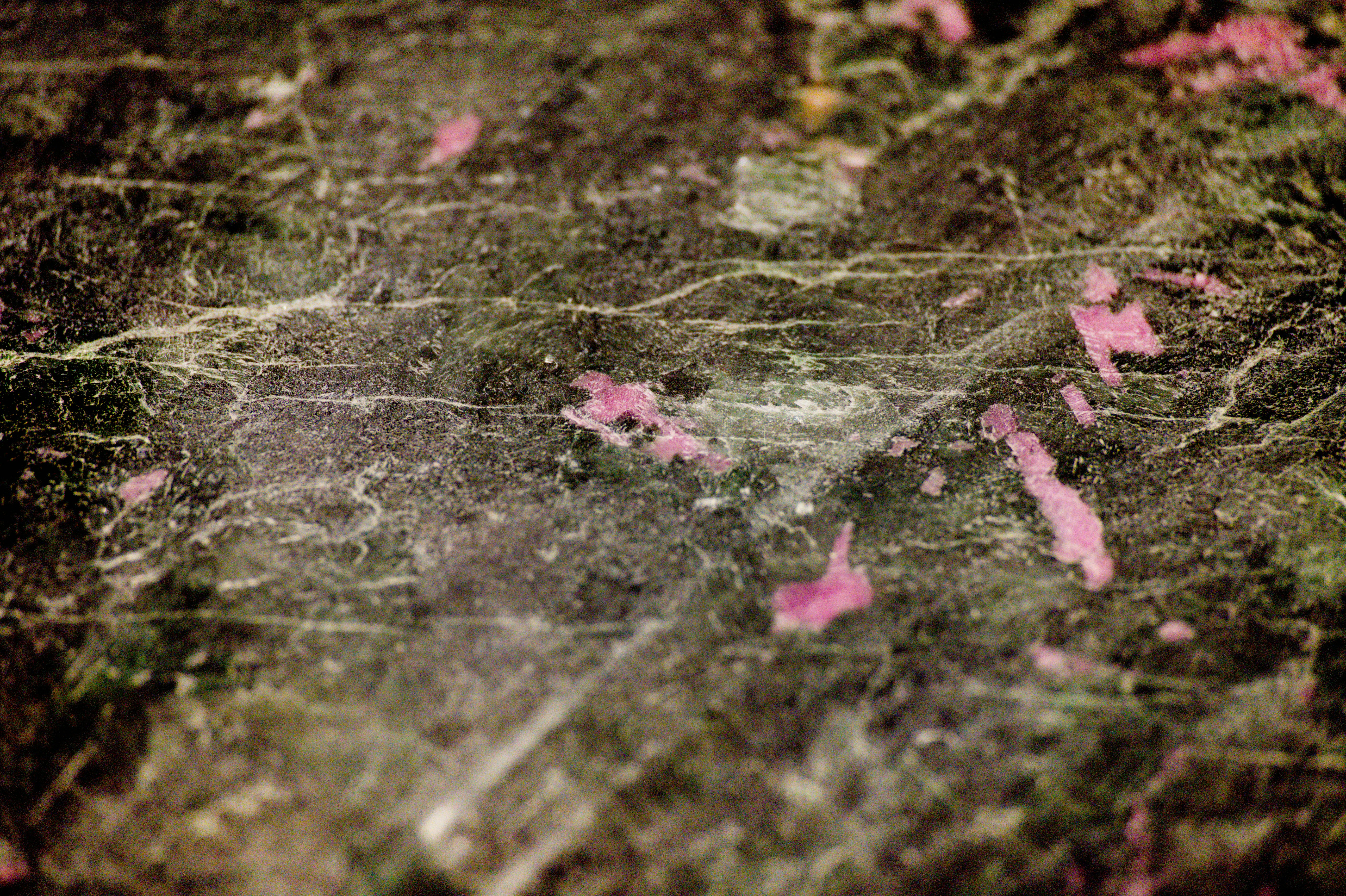 Photo by Amin Zabardast with Nikon Z30