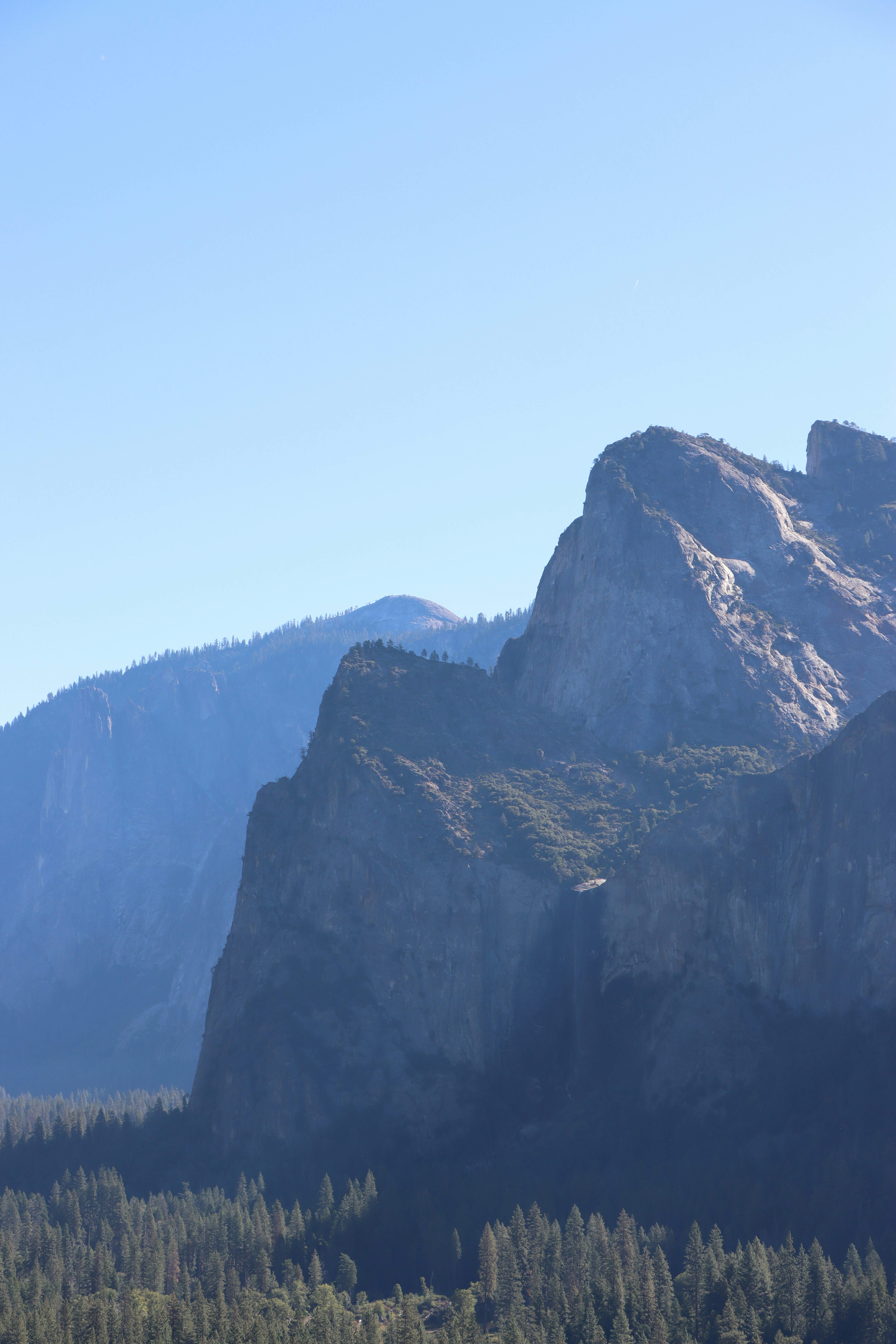 Granite Sentinel Rising Above the Pine Sea