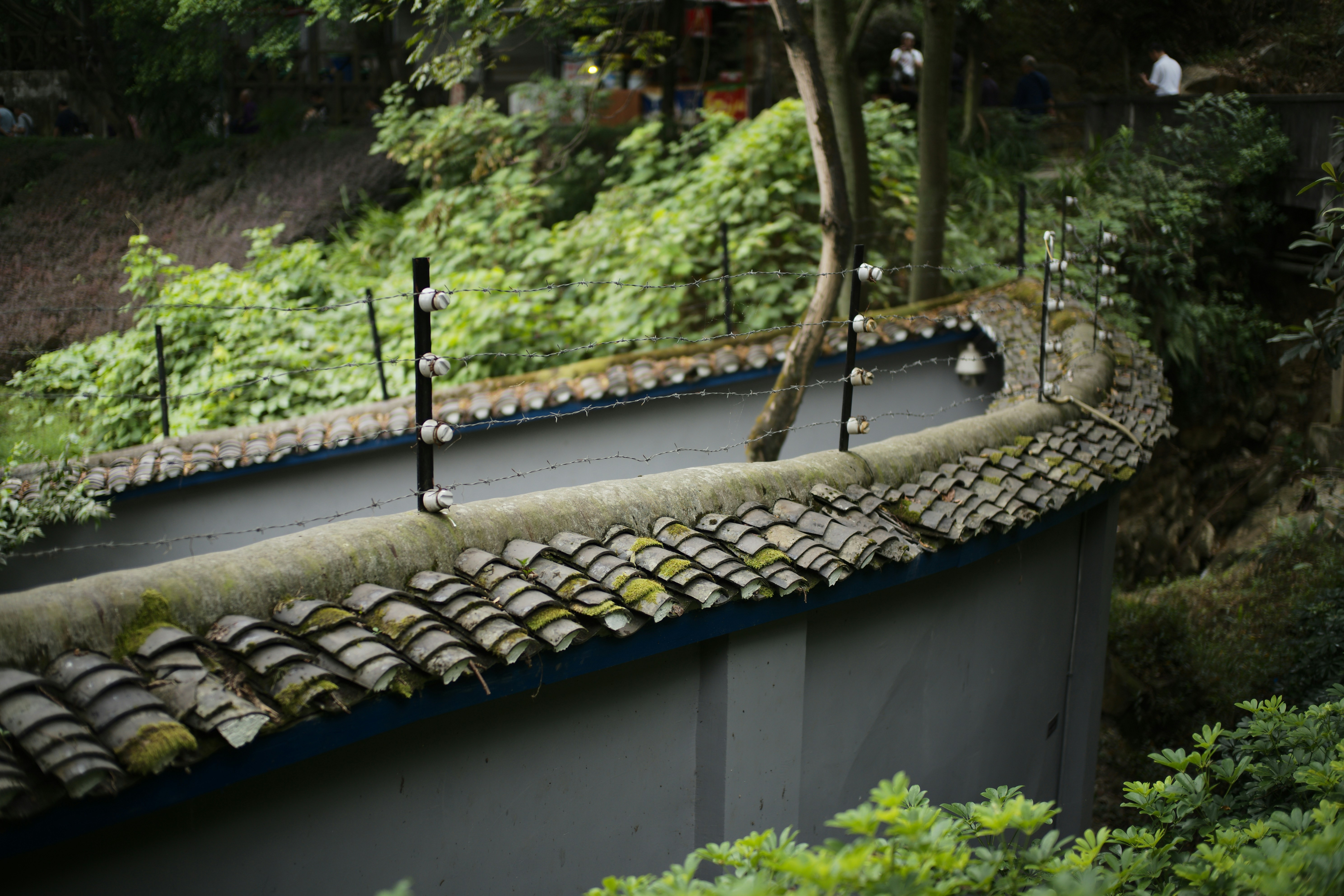 Curve of Mossy Tiles Along a Quiet Terrace