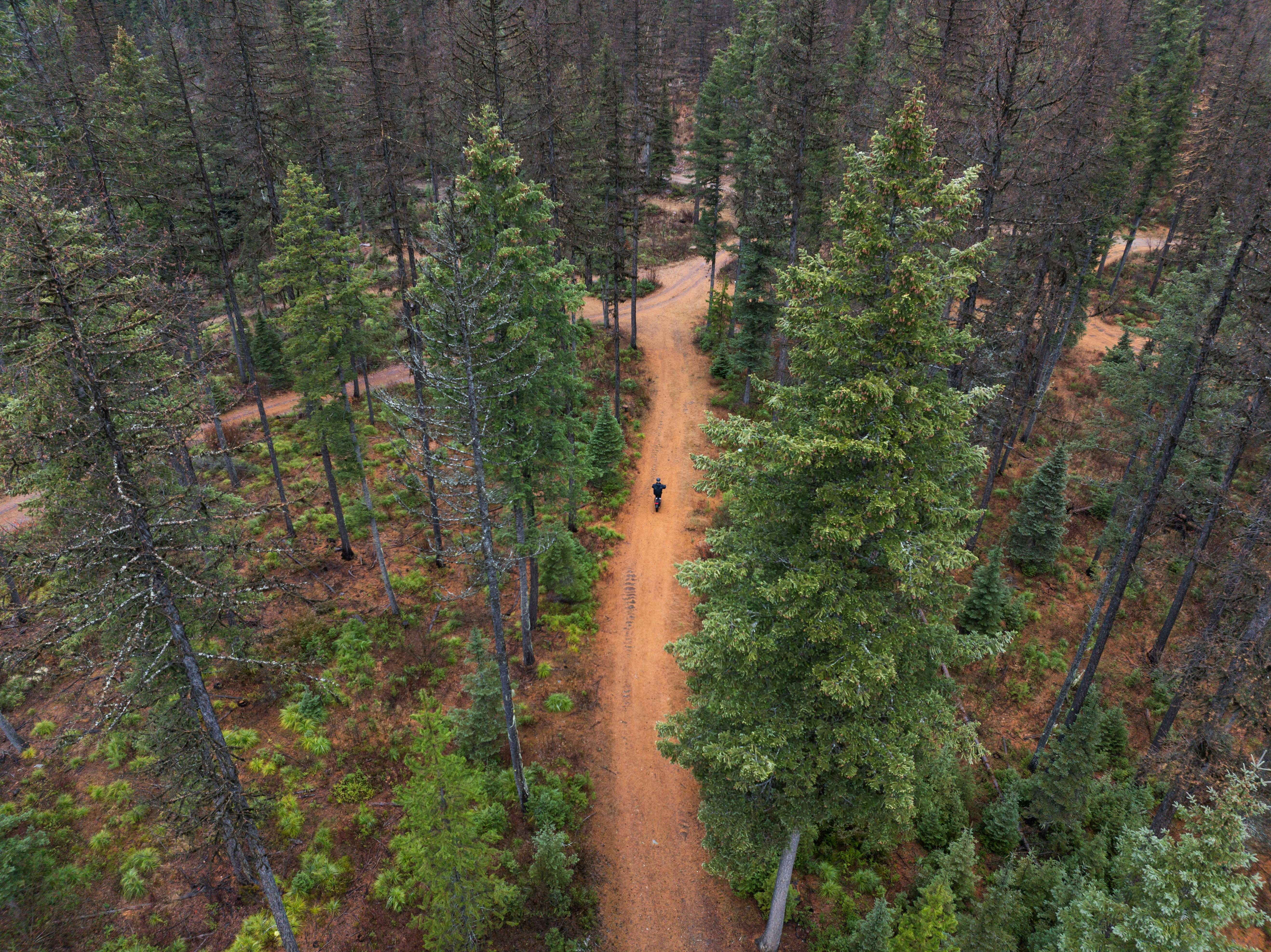 Hiboy U2 Pro Electric Scooter with 16" Fat Tires