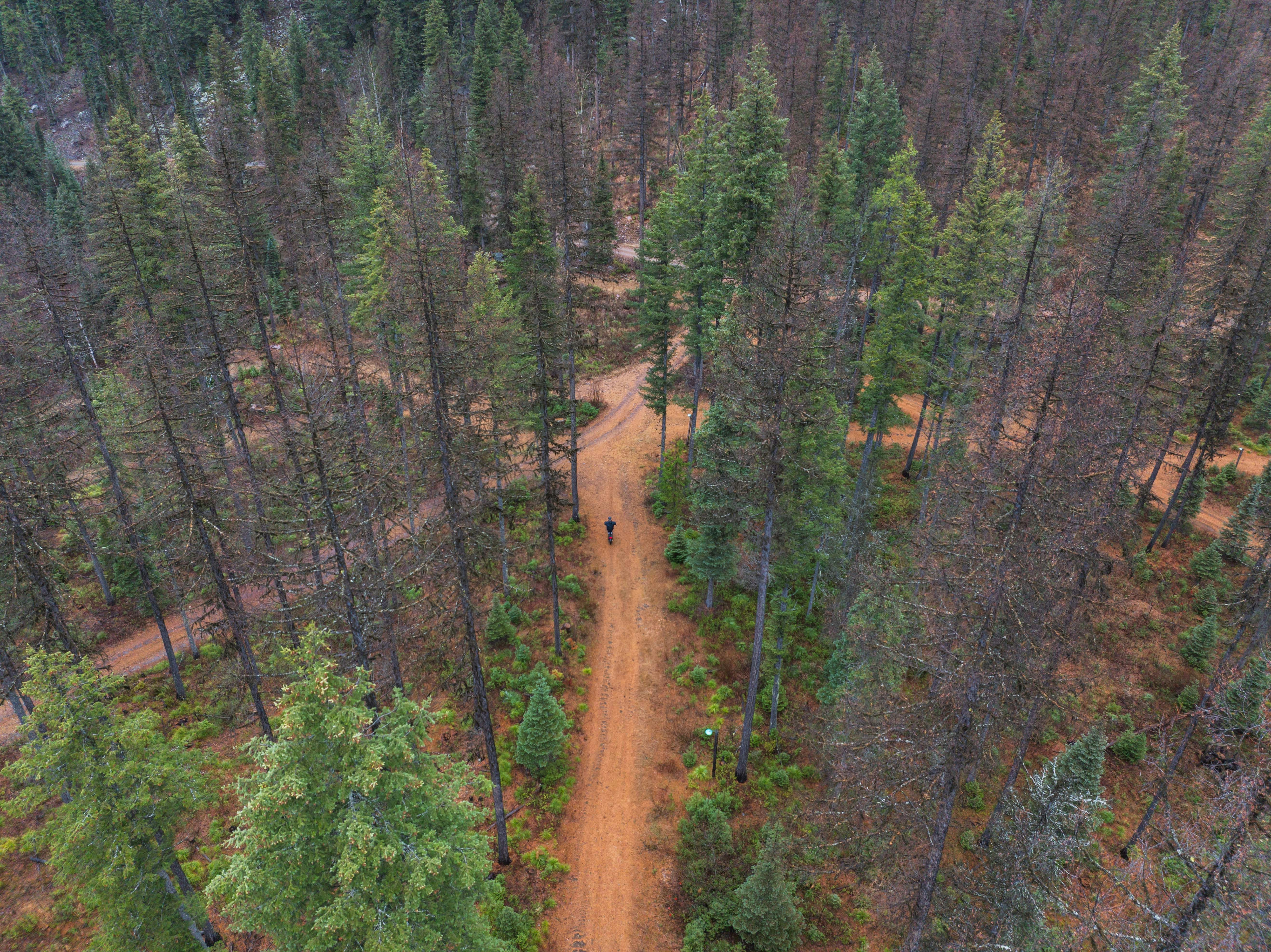 Hiboy U2 Pro Electric Scooter with 16" Fat Tires