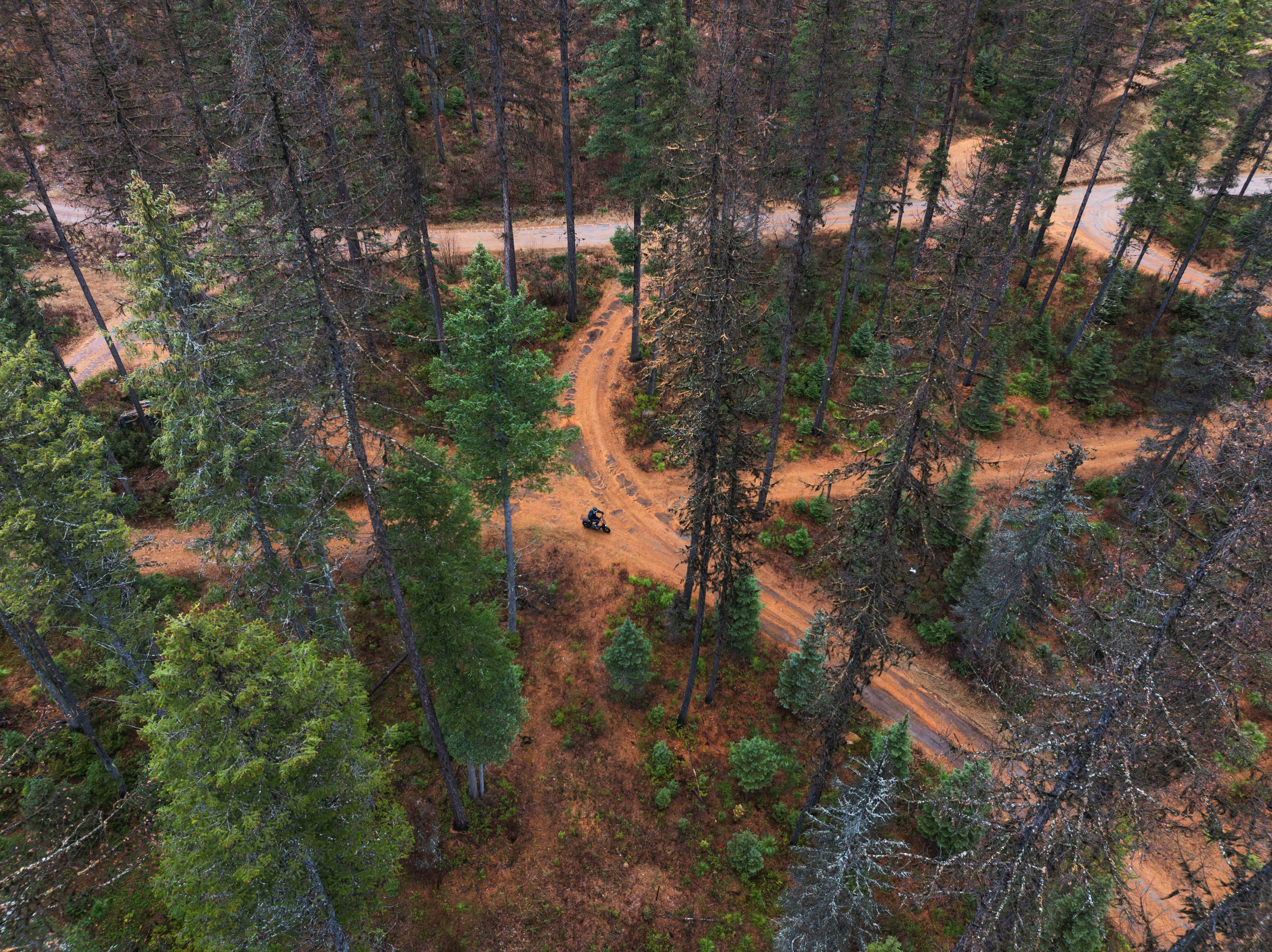 Hiboy U2 Pro Electric Scooter with 16" Fat Tires