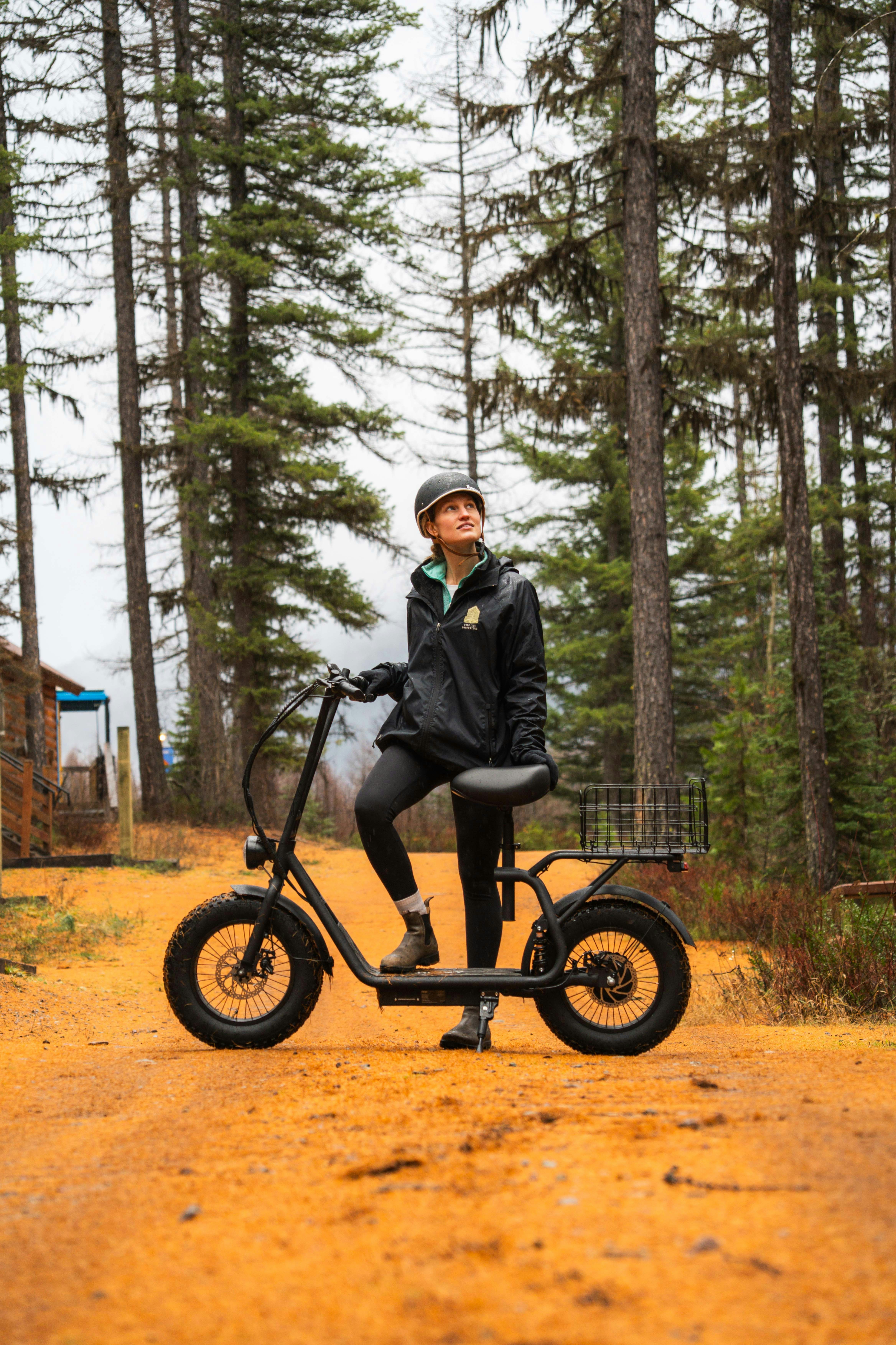 Hiboy U2 Pro Electric Scooter with 16" Fat Tires