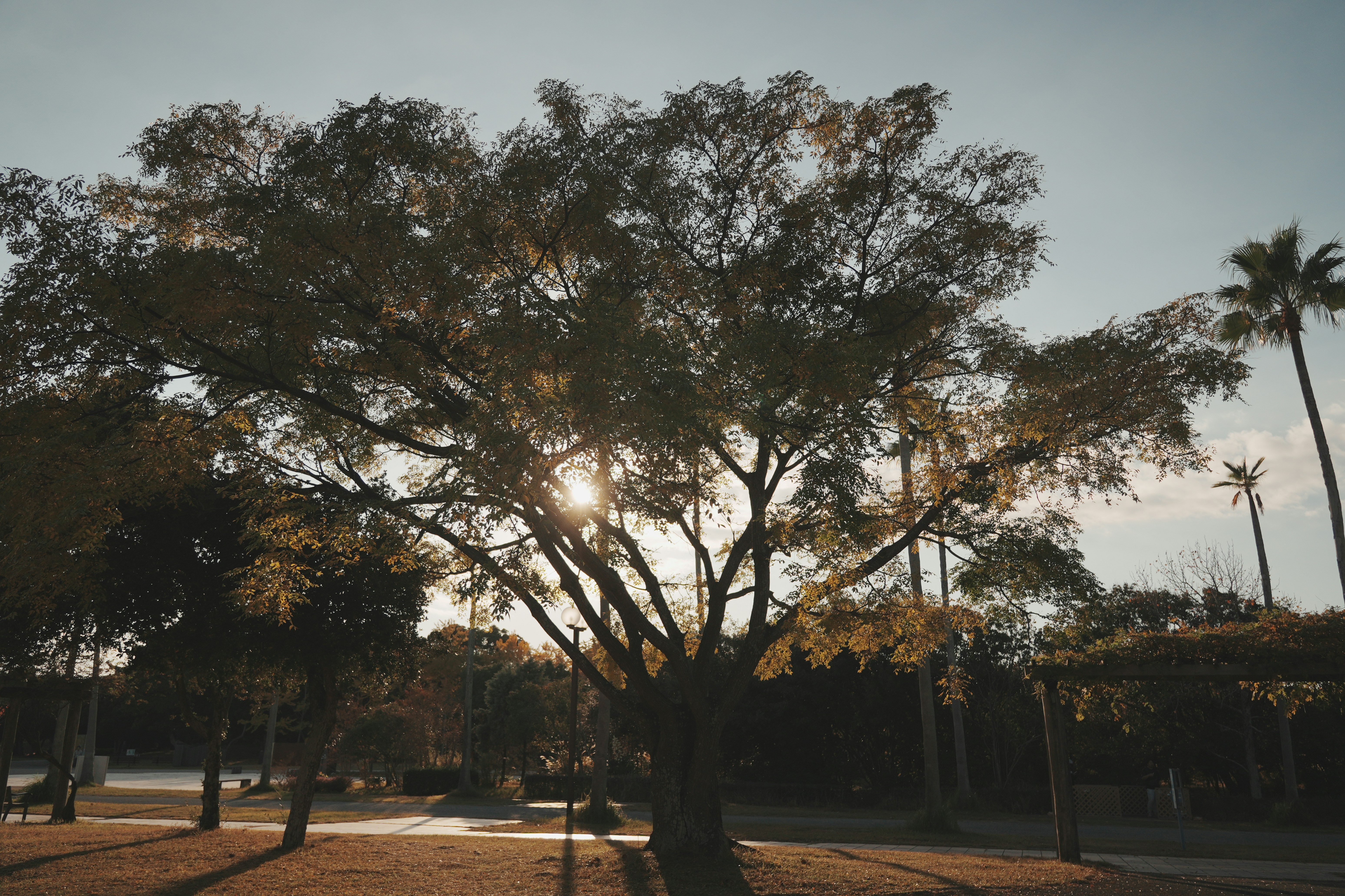 Photo by RIKESH SHRESTHA with Sony Alpha 6700