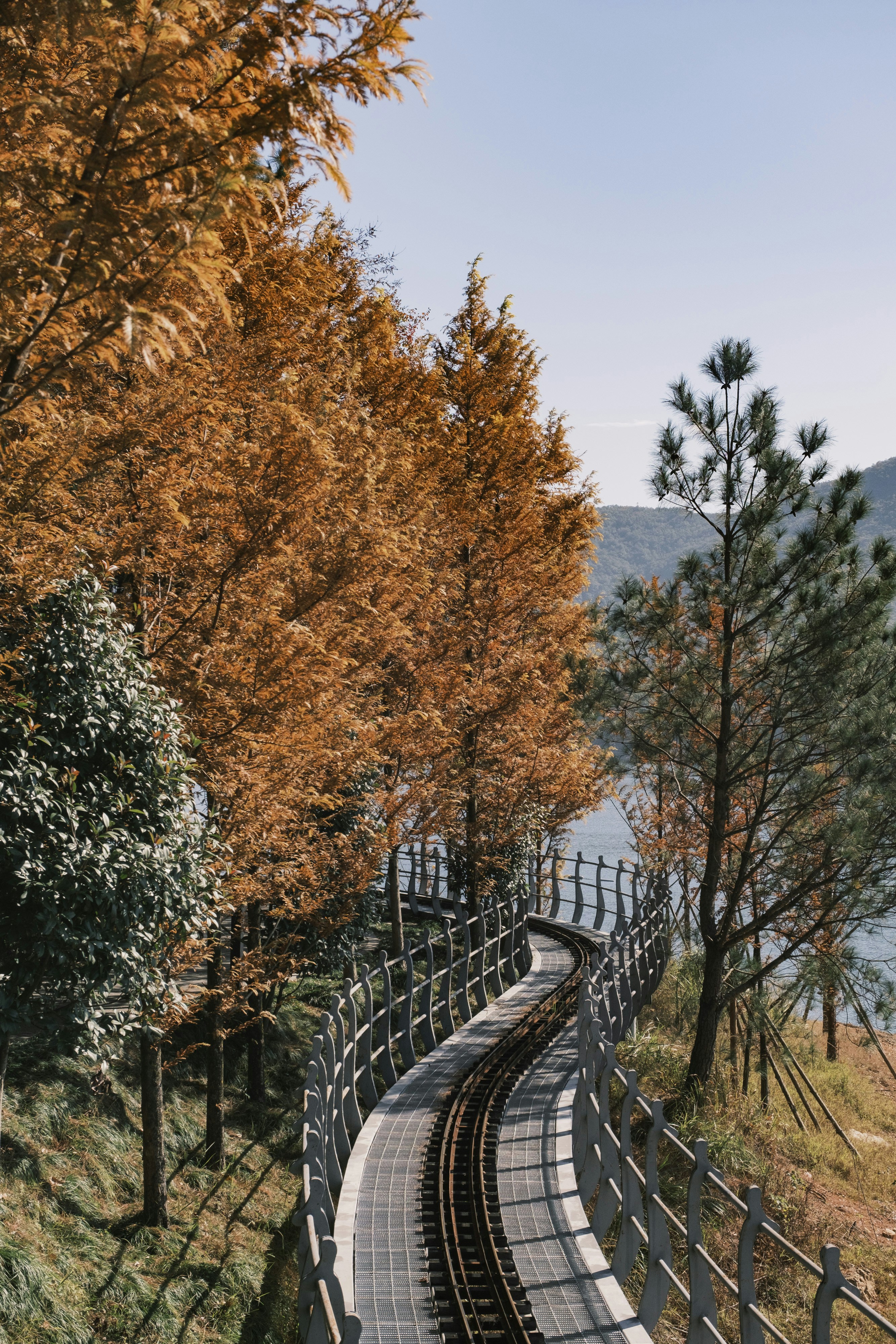 Photo by Yue WU with Fujifilm X-S10