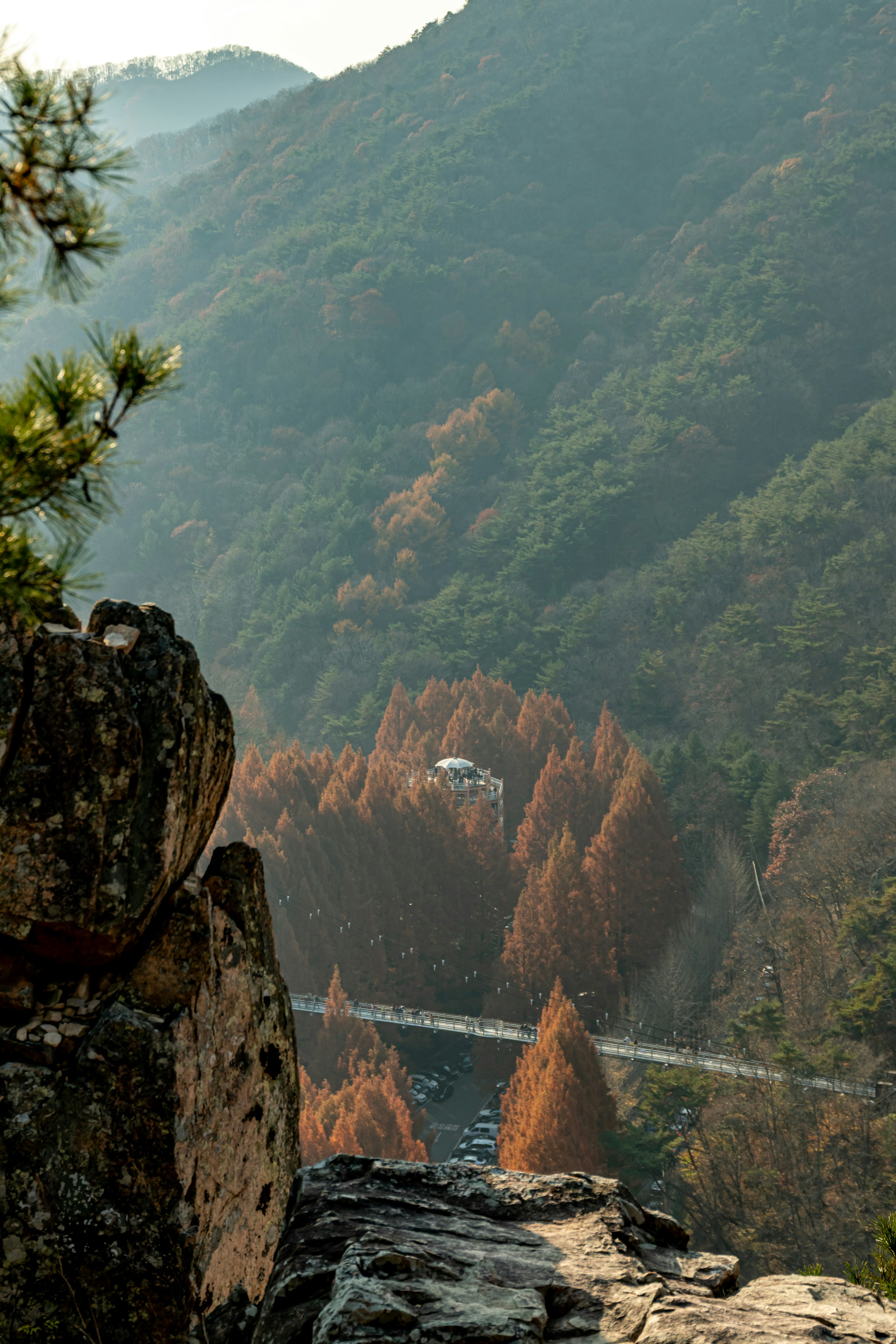 Autumn Road Through a Forested Mountain Valley