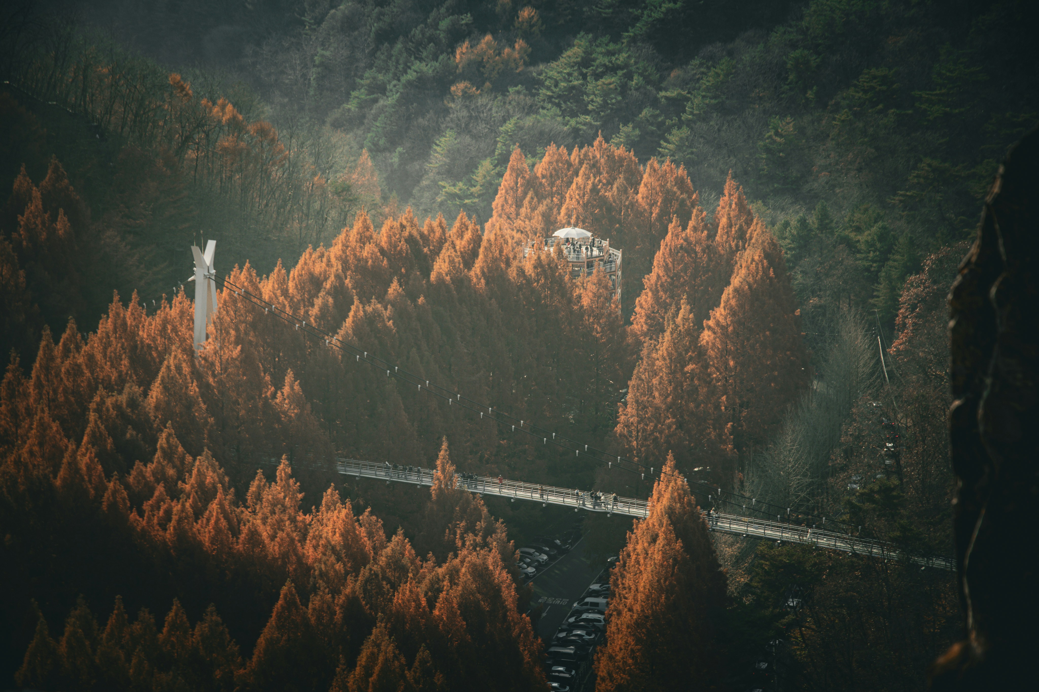 Ember Canopy Overpass