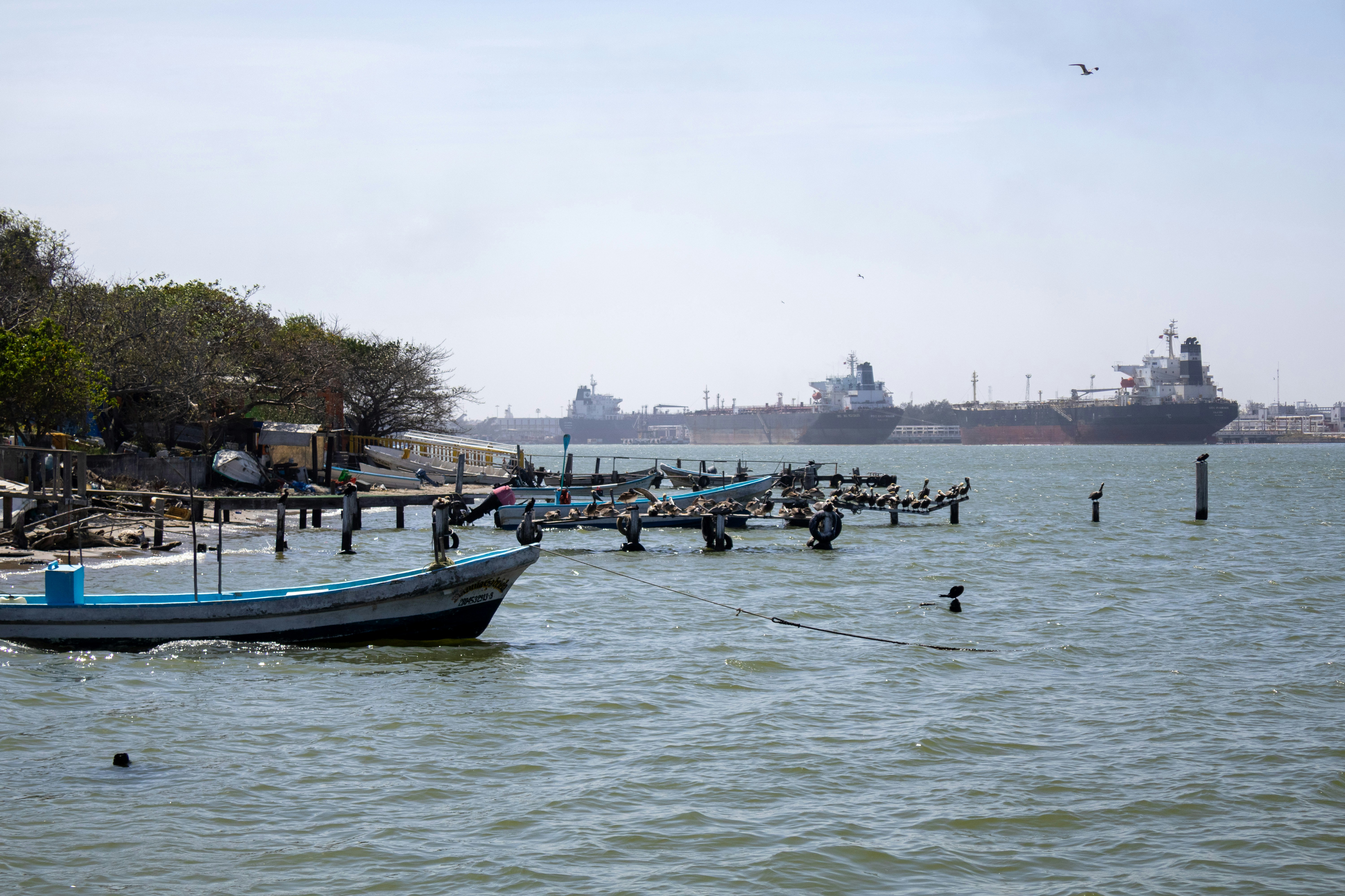 Harbor Lines: Blue Boat at the Edge of Calm
