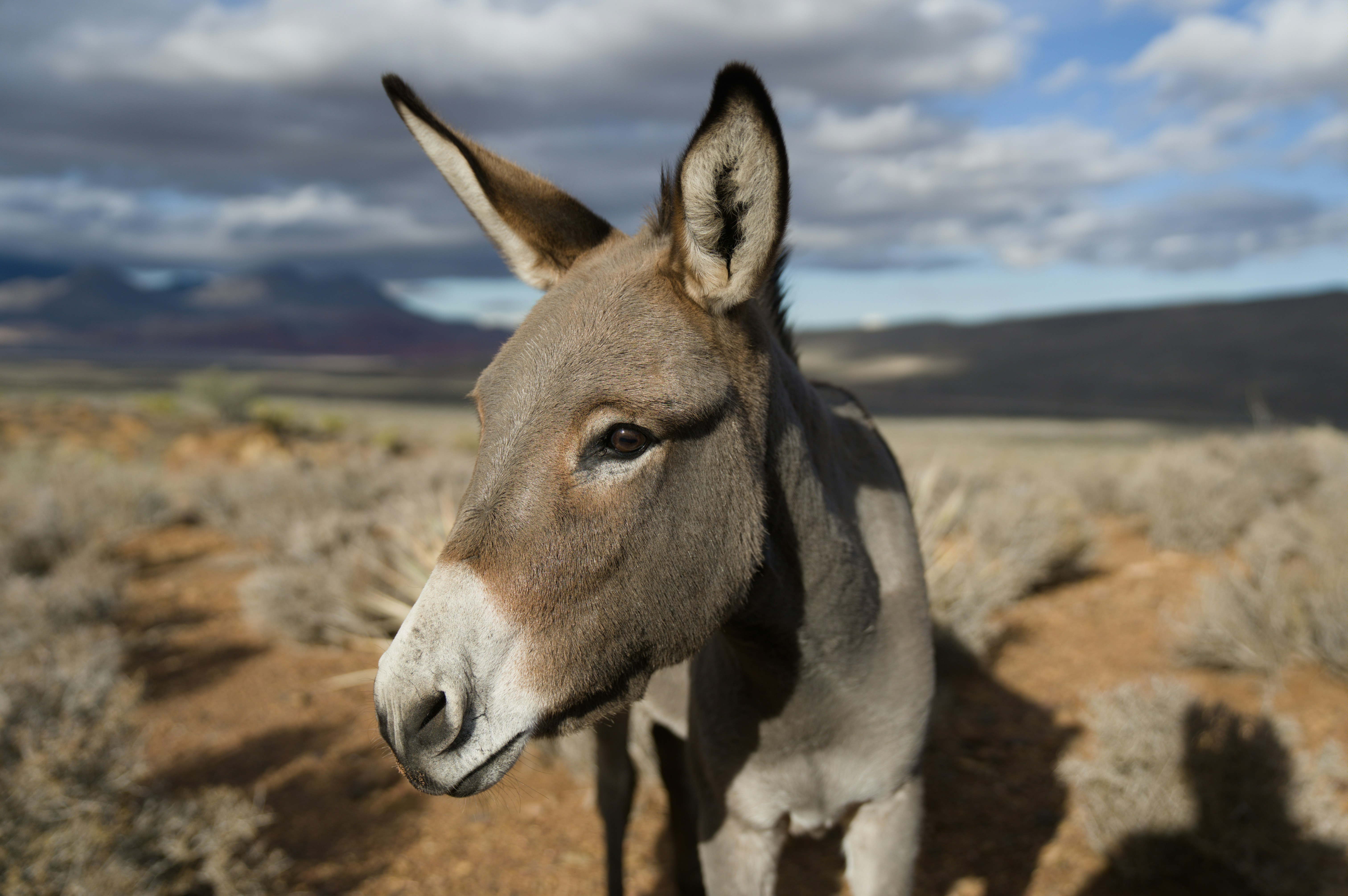 Photo by Austin Ramsey with Sony Alpha 7 III