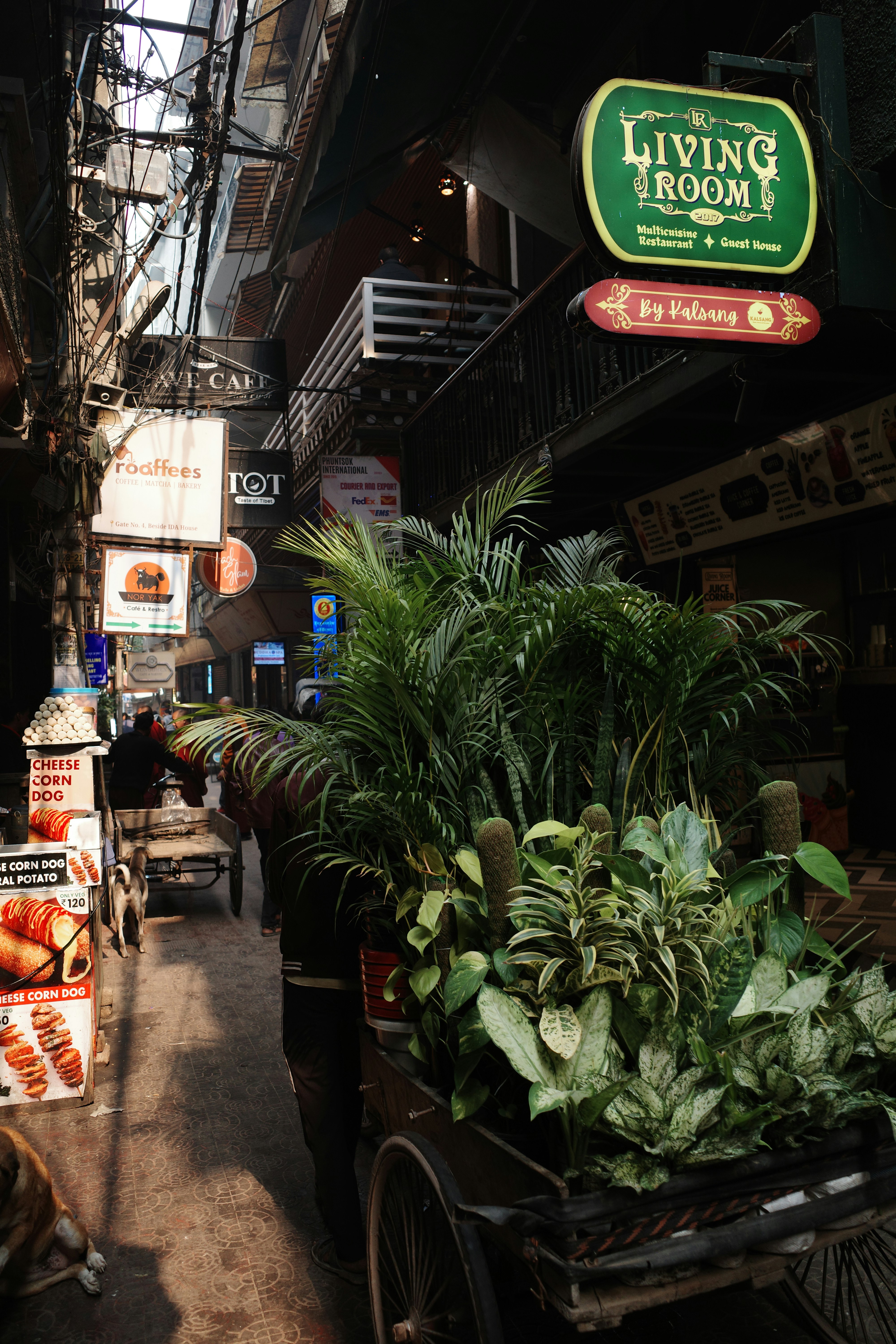 Verdant Cart in a Neon Alley Market