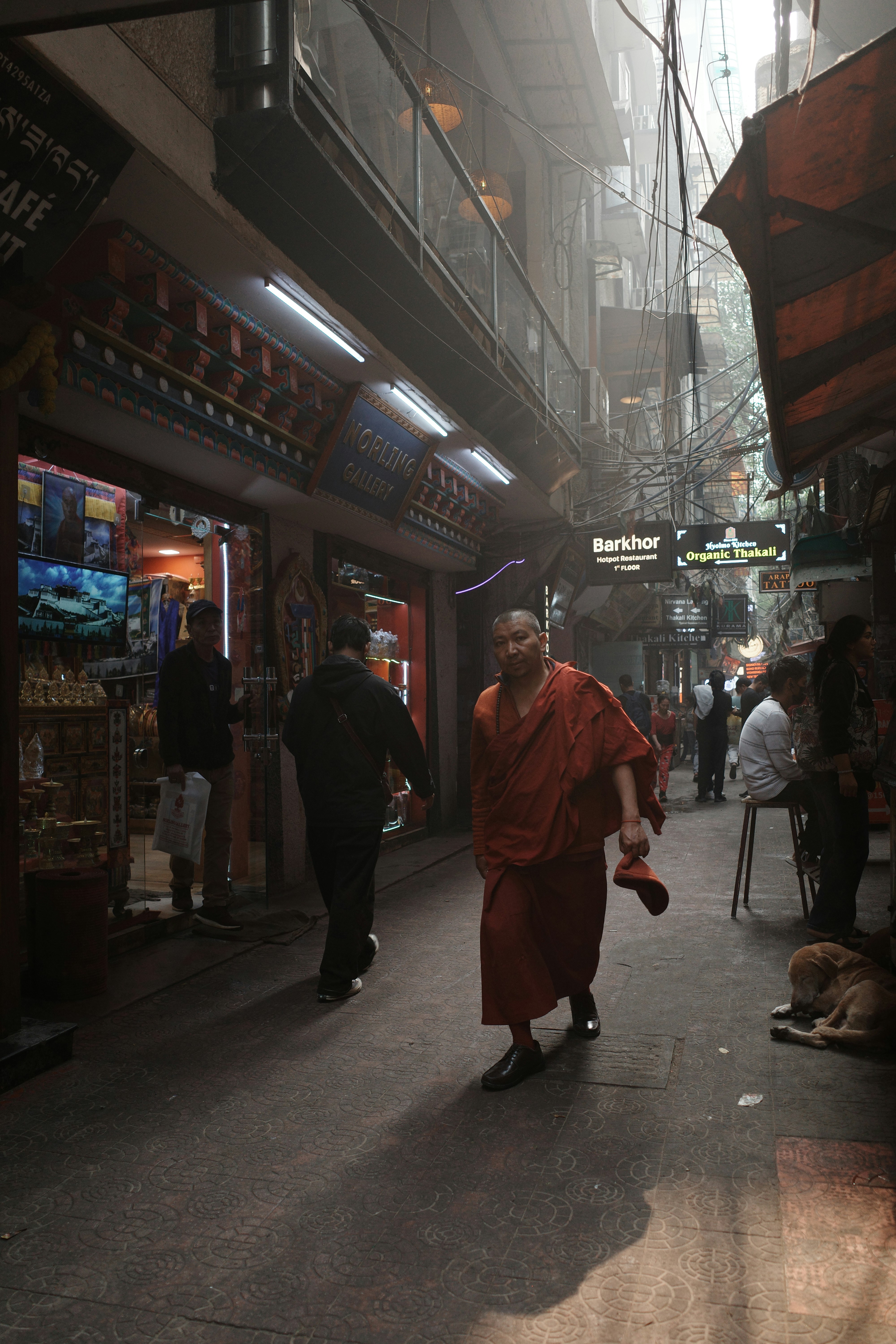 Photo by Ravi Sharma with Ricoh GR III