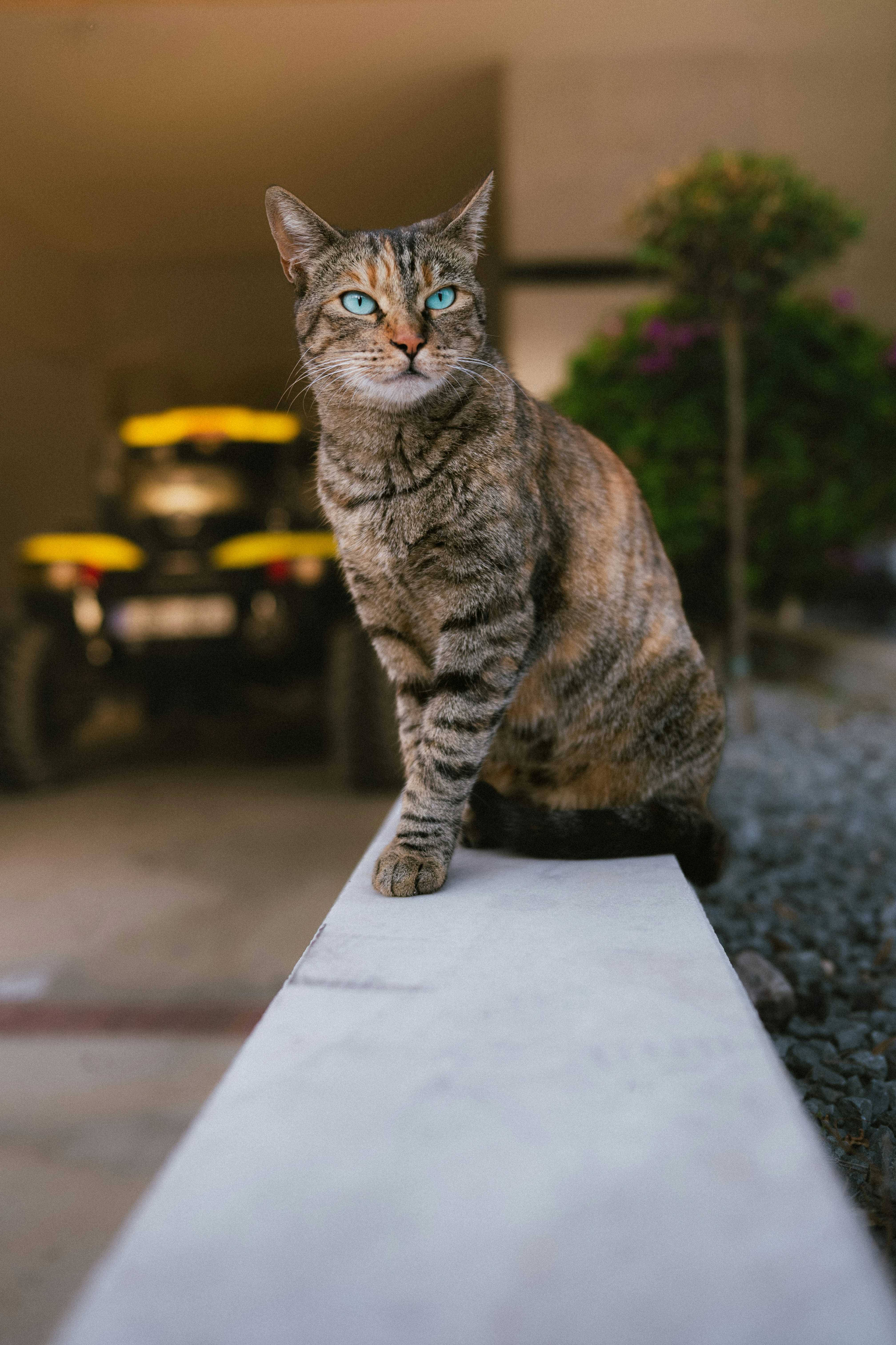 Photo by Maximus Mazar with Nikon Zf