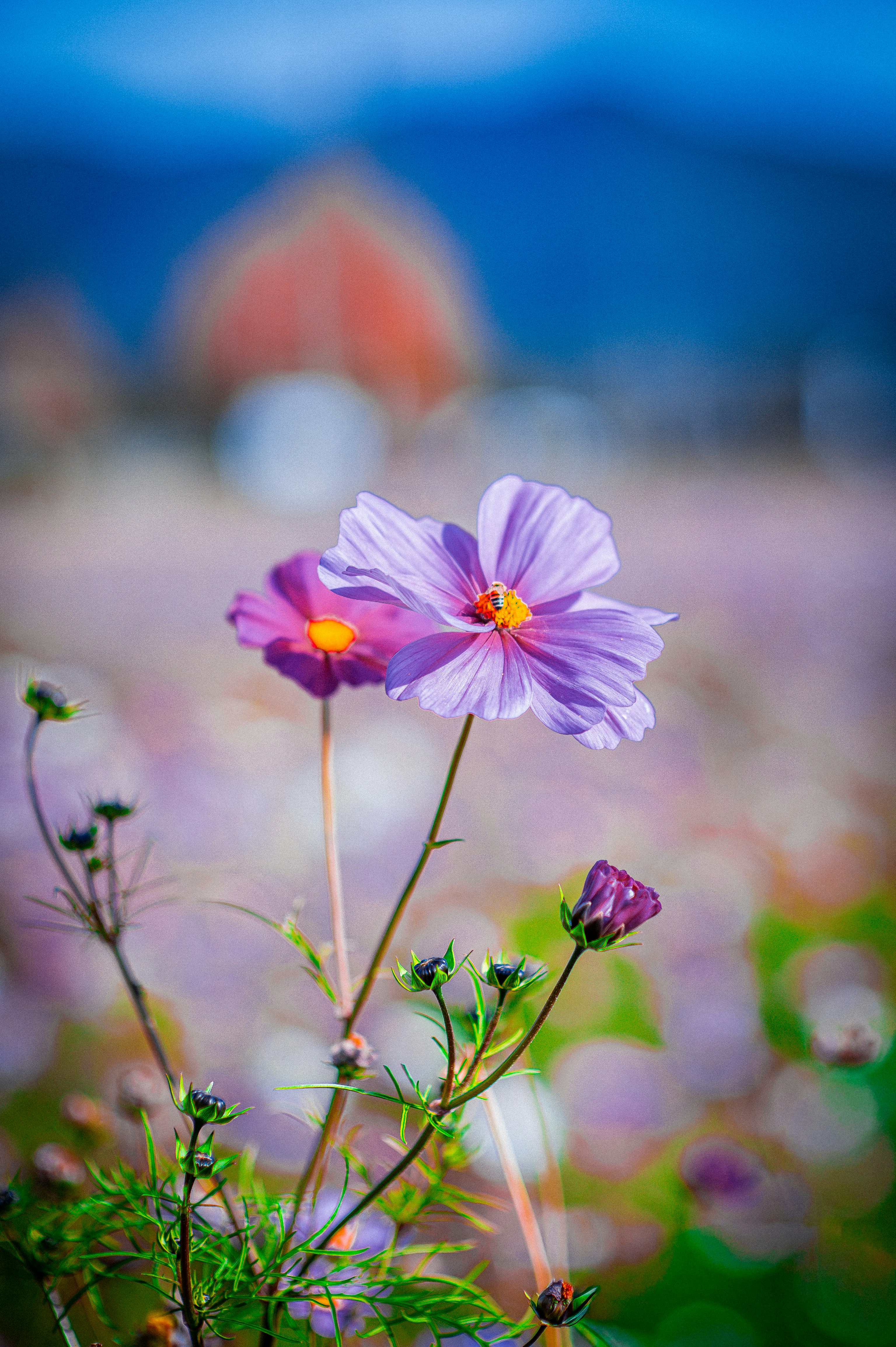 Photo by 5010 with Nikon Df