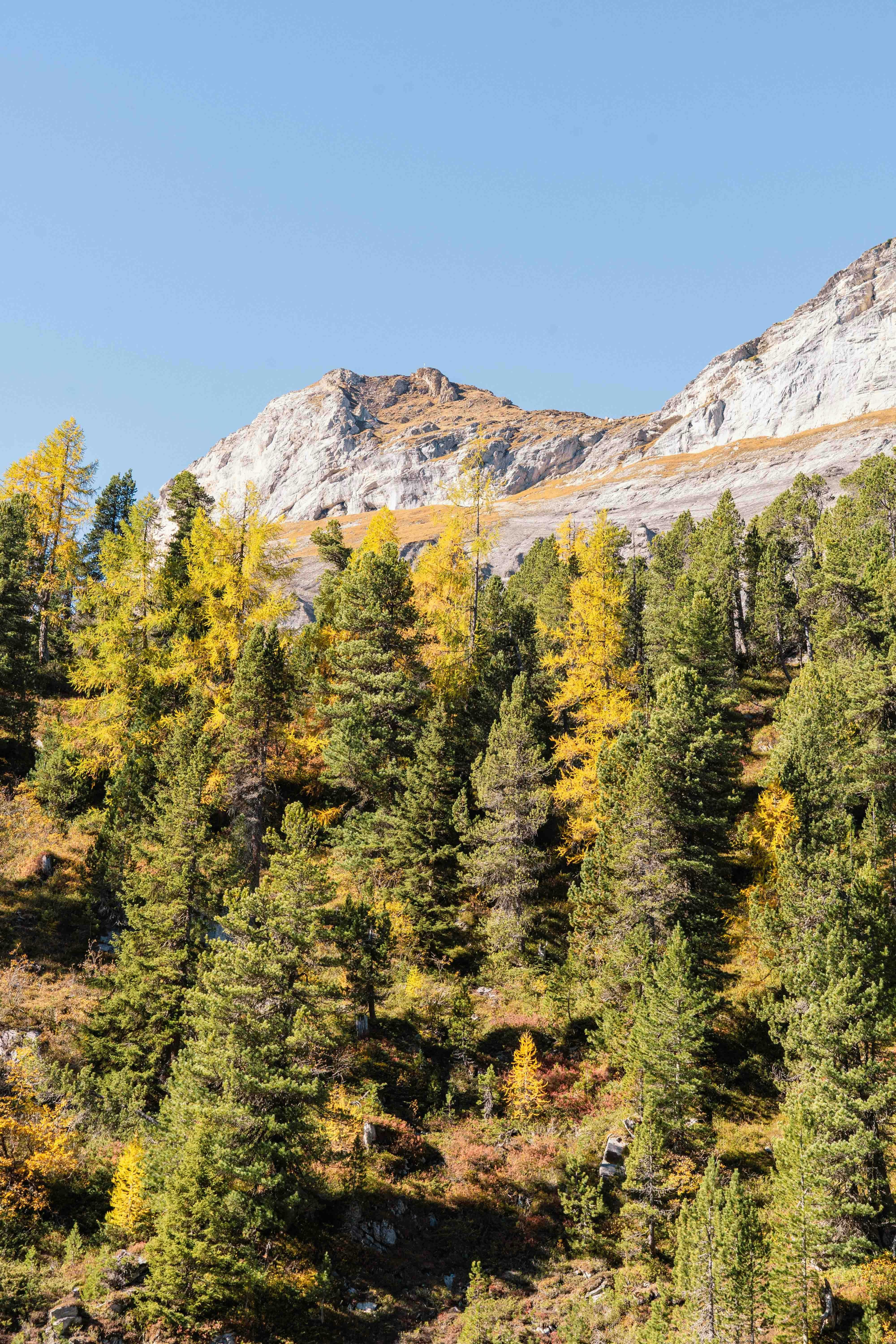 Photo by Melina Dominic Streit with Sony Alpha 7 III