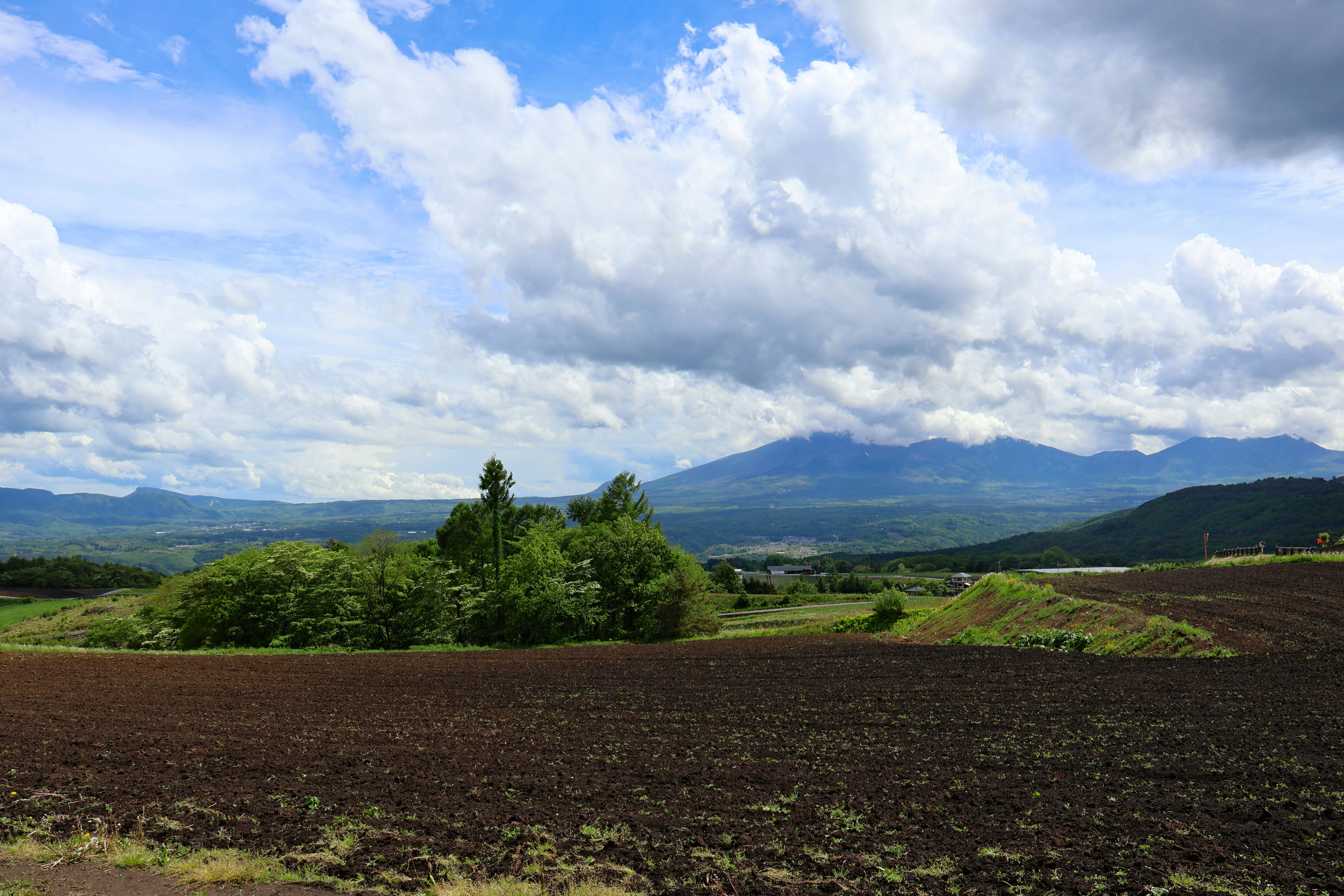 Photo by waa towaw with Canon EOS R50