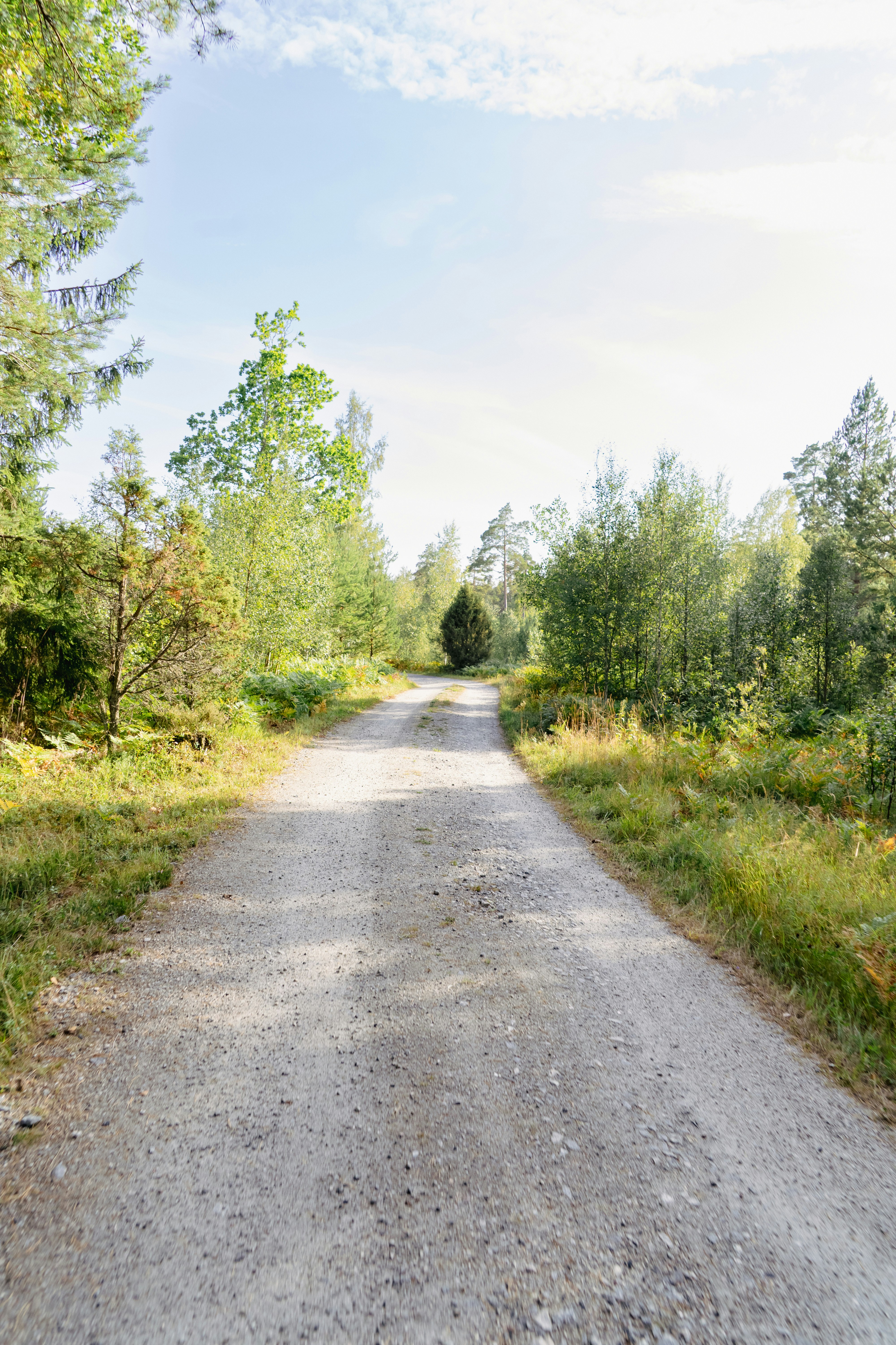 Photo by Melina Dominic Streit with Sony Alpha 7 III