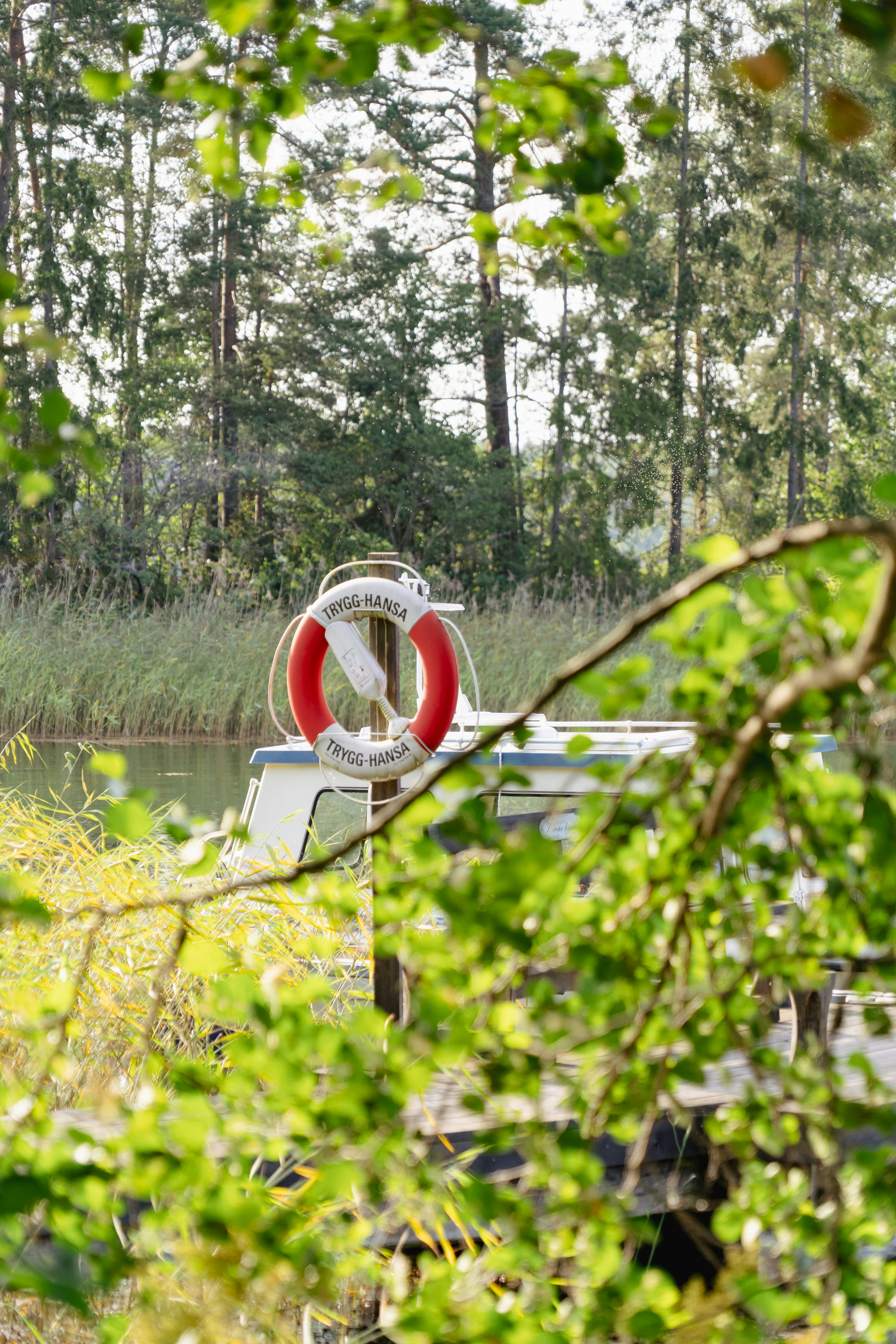 Photo by Melina Dominic Streit with Sony Alpha 7 III