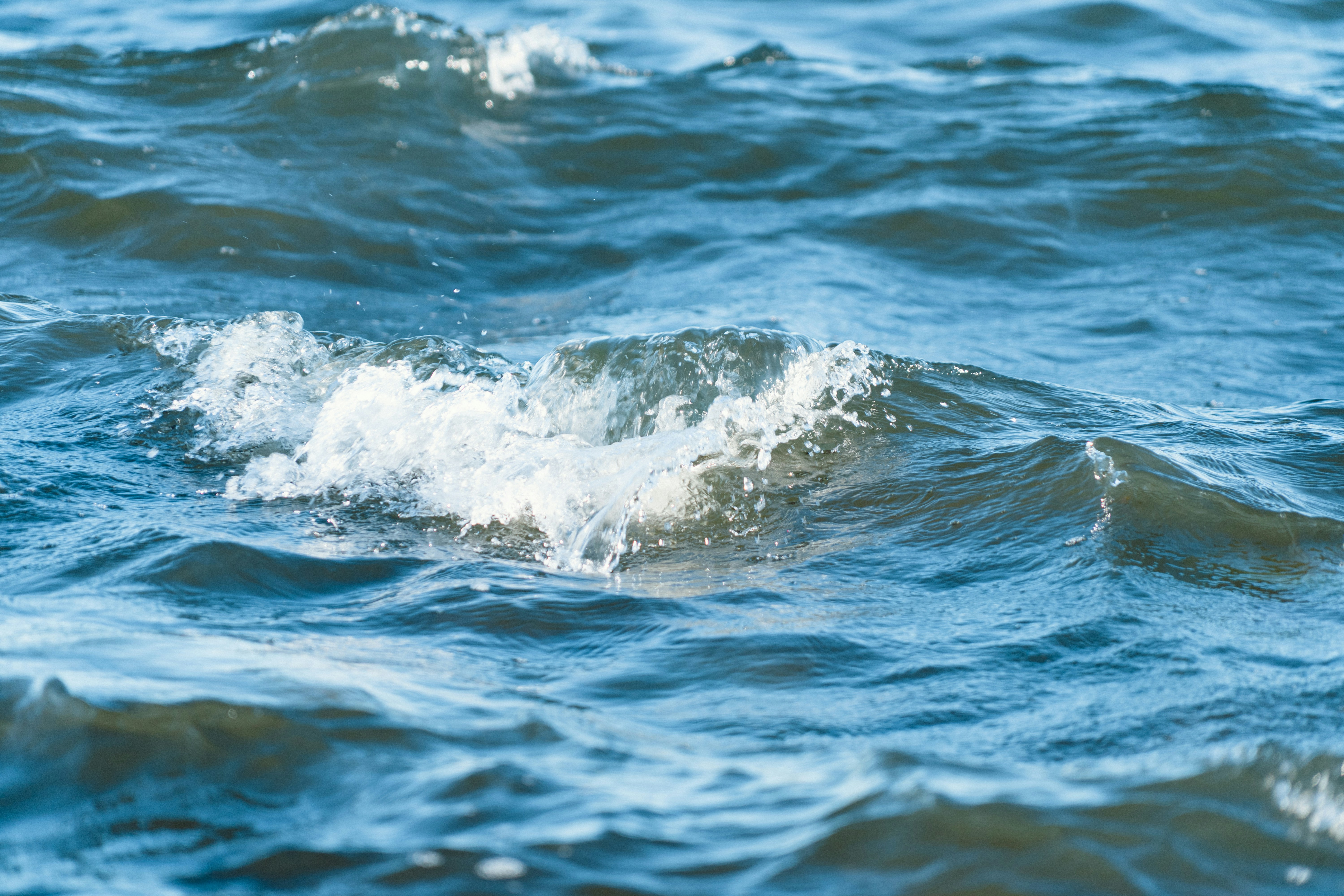 Photo by Melina Dominic Streit with Sony Alpha 7 III