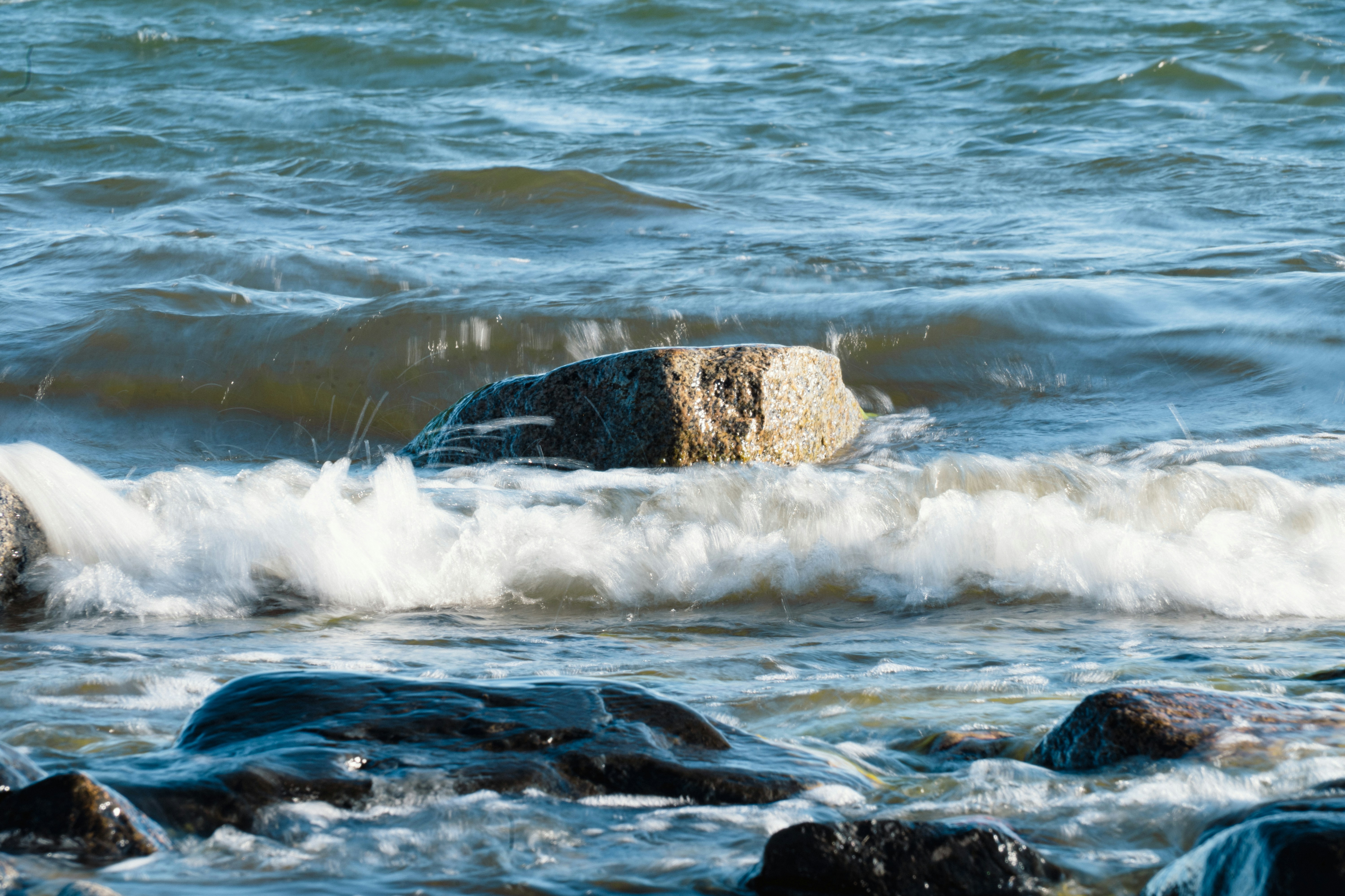 Photo by Melina Dominic Streit with Sony Alpha 7 III