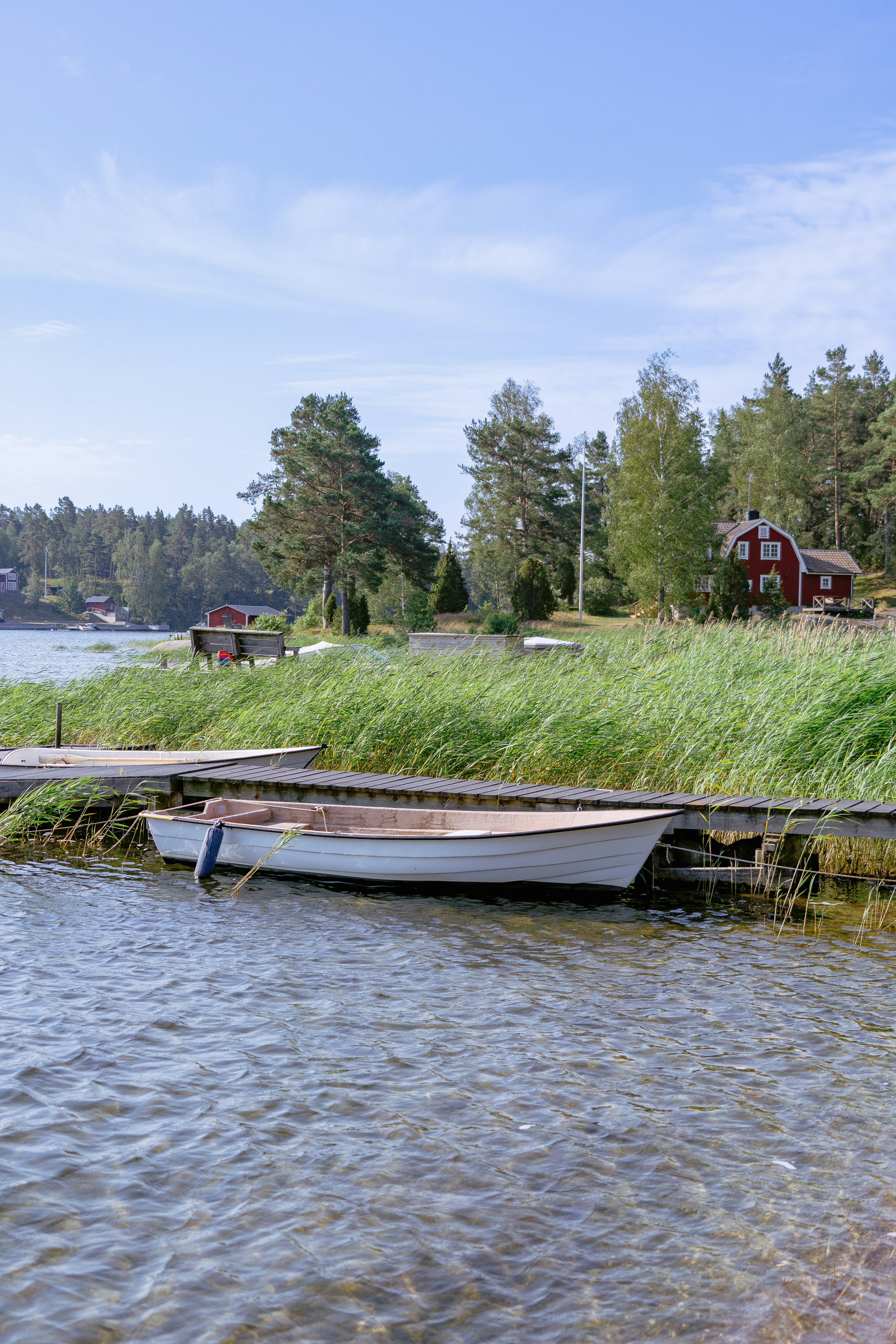 Photo by Melina Dominic Streit with Sony Alpha 7 III