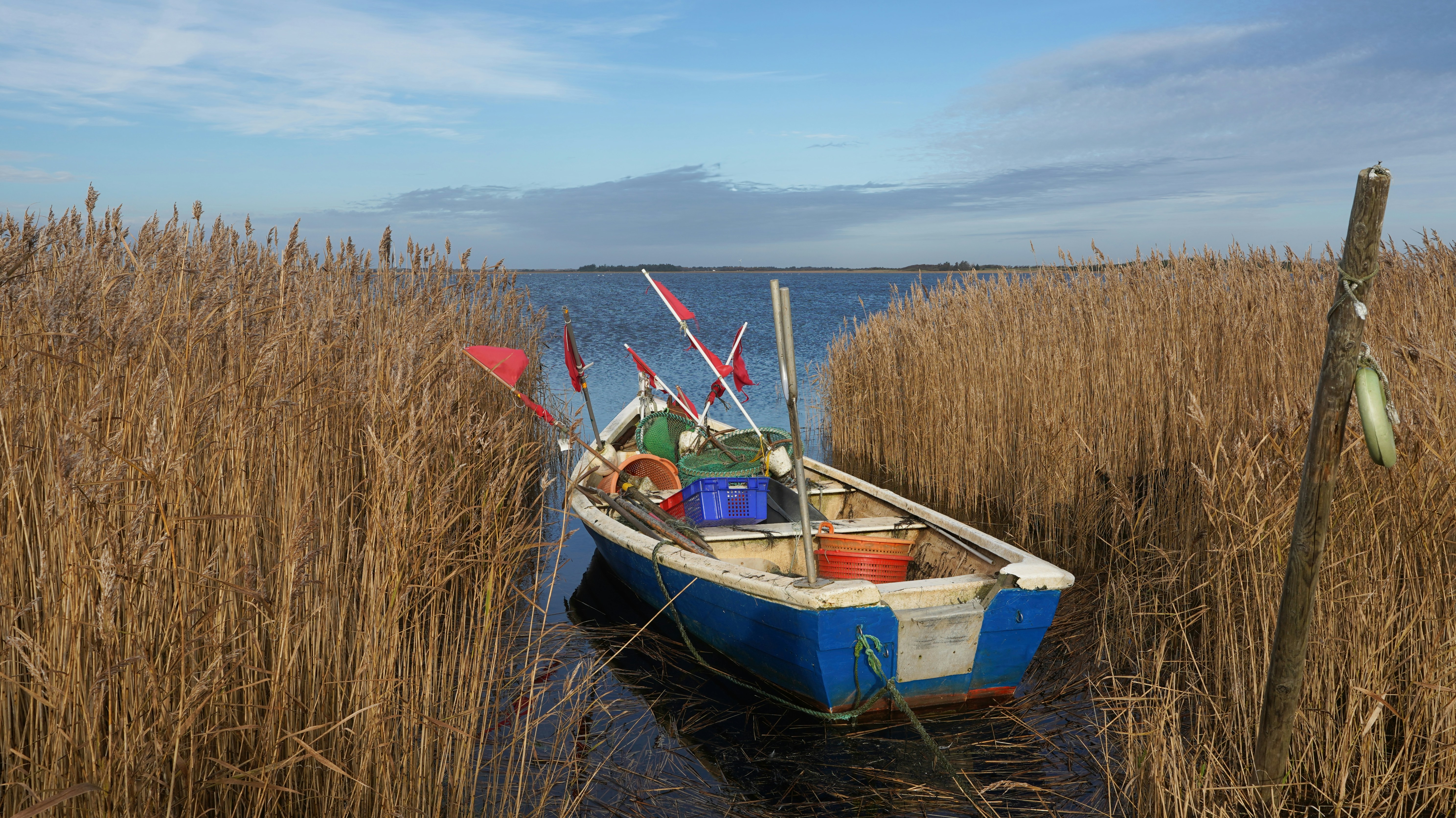 Blue Boat Between Golden Reeds on a Quiet Waterway