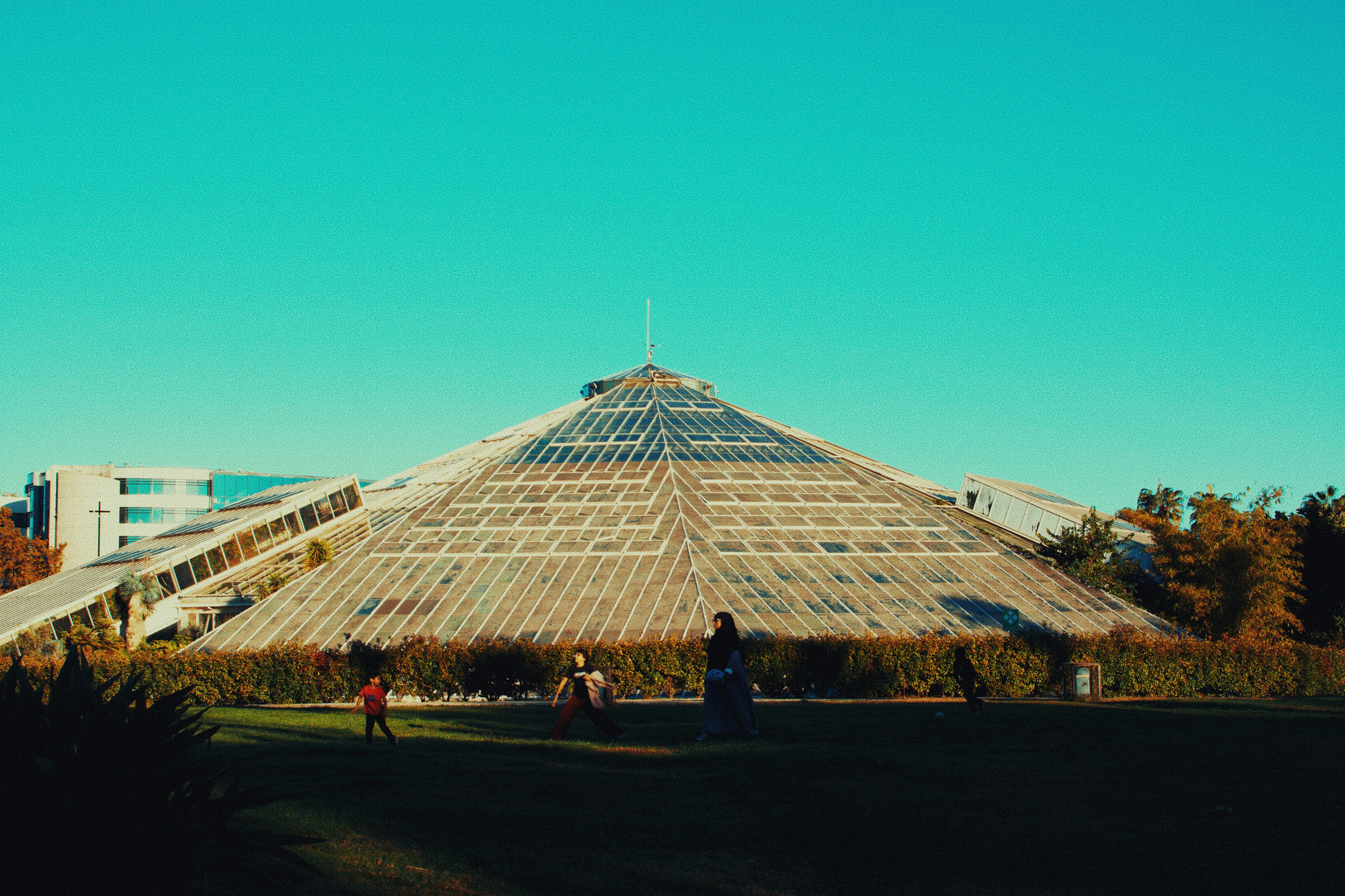 Glass Pyramid Rising in a Sunlit Park