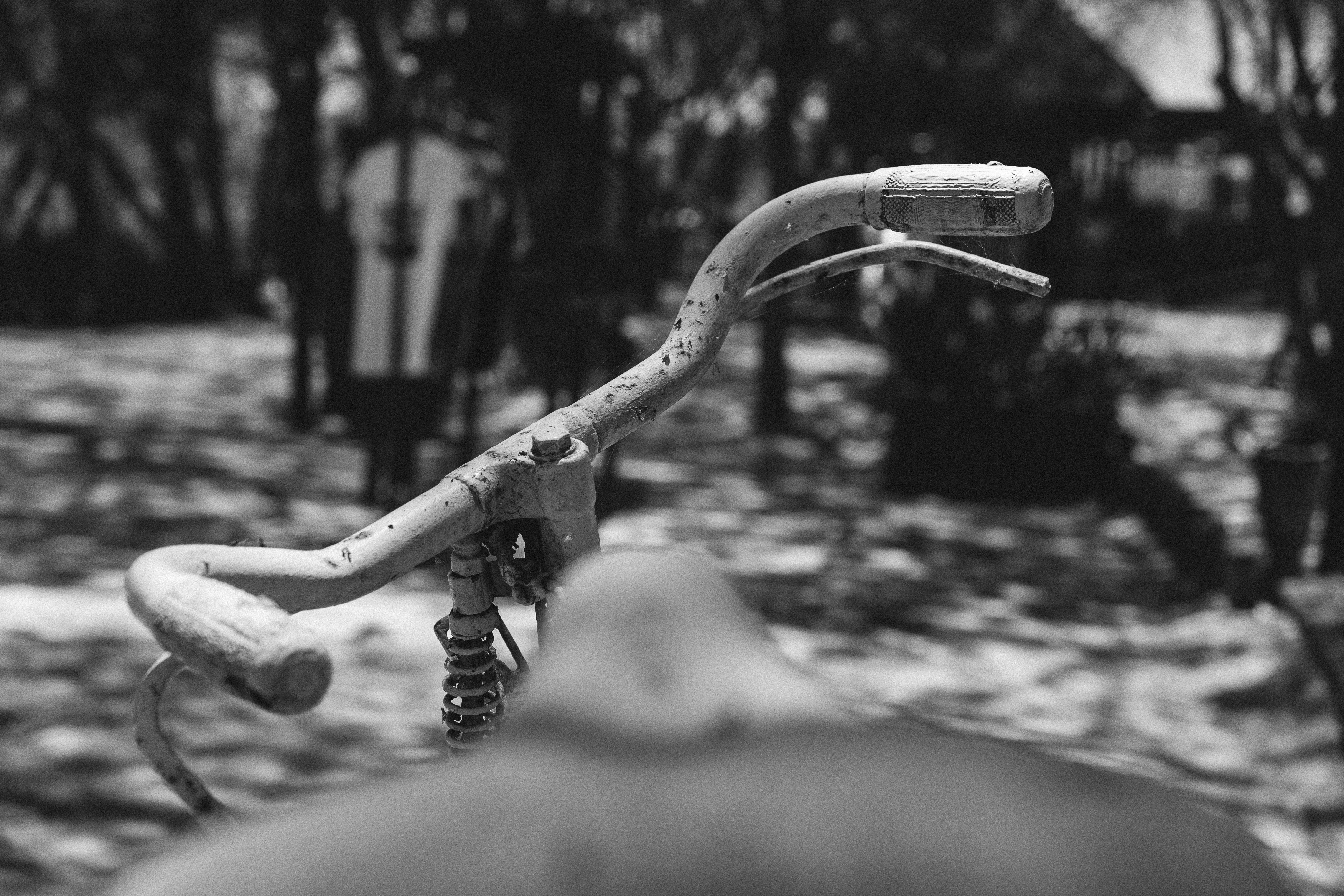 Handlebar Horizon: Quiet Curves in a Grayscale Park
