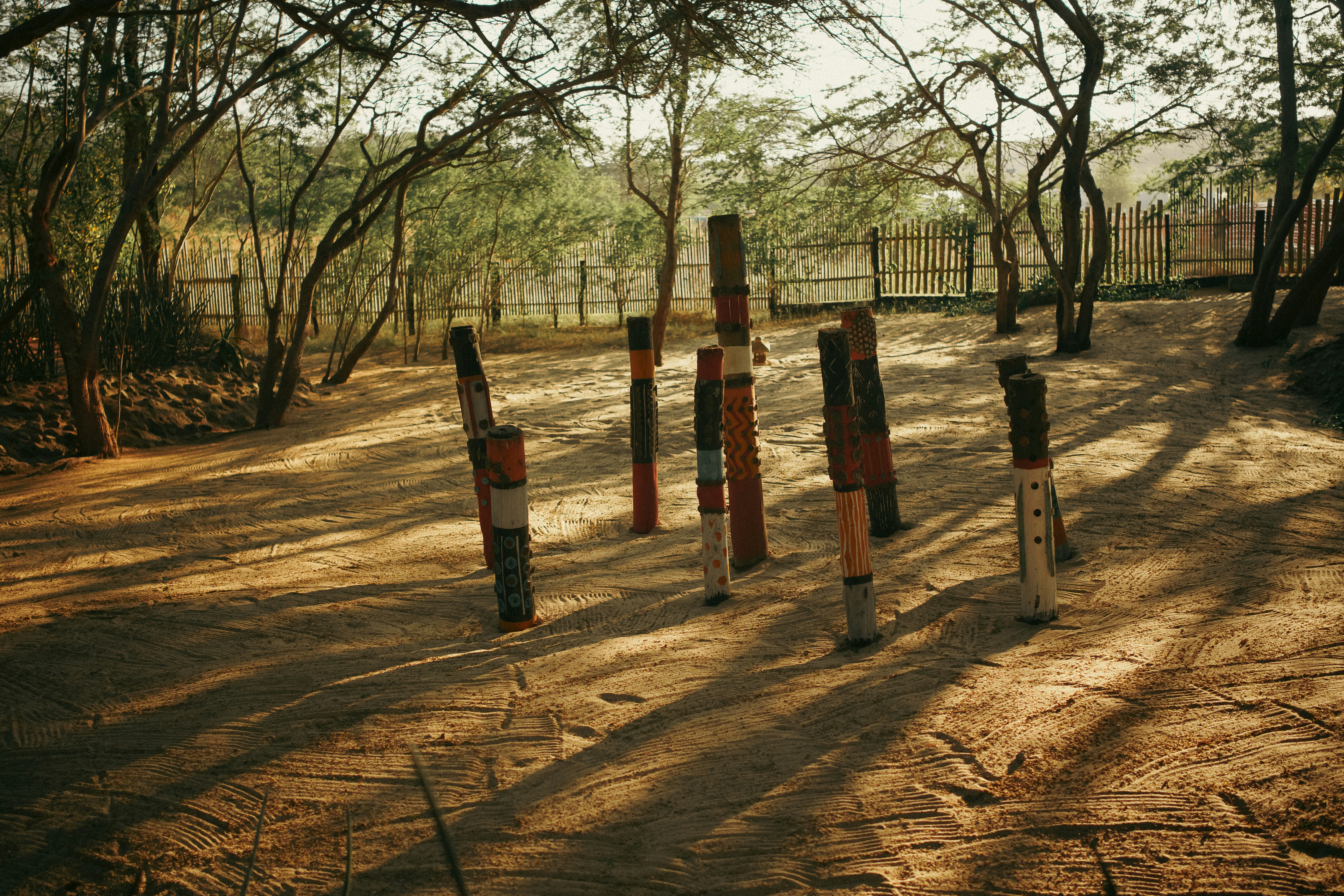 Pillars of Color in a Sunlit Clearing