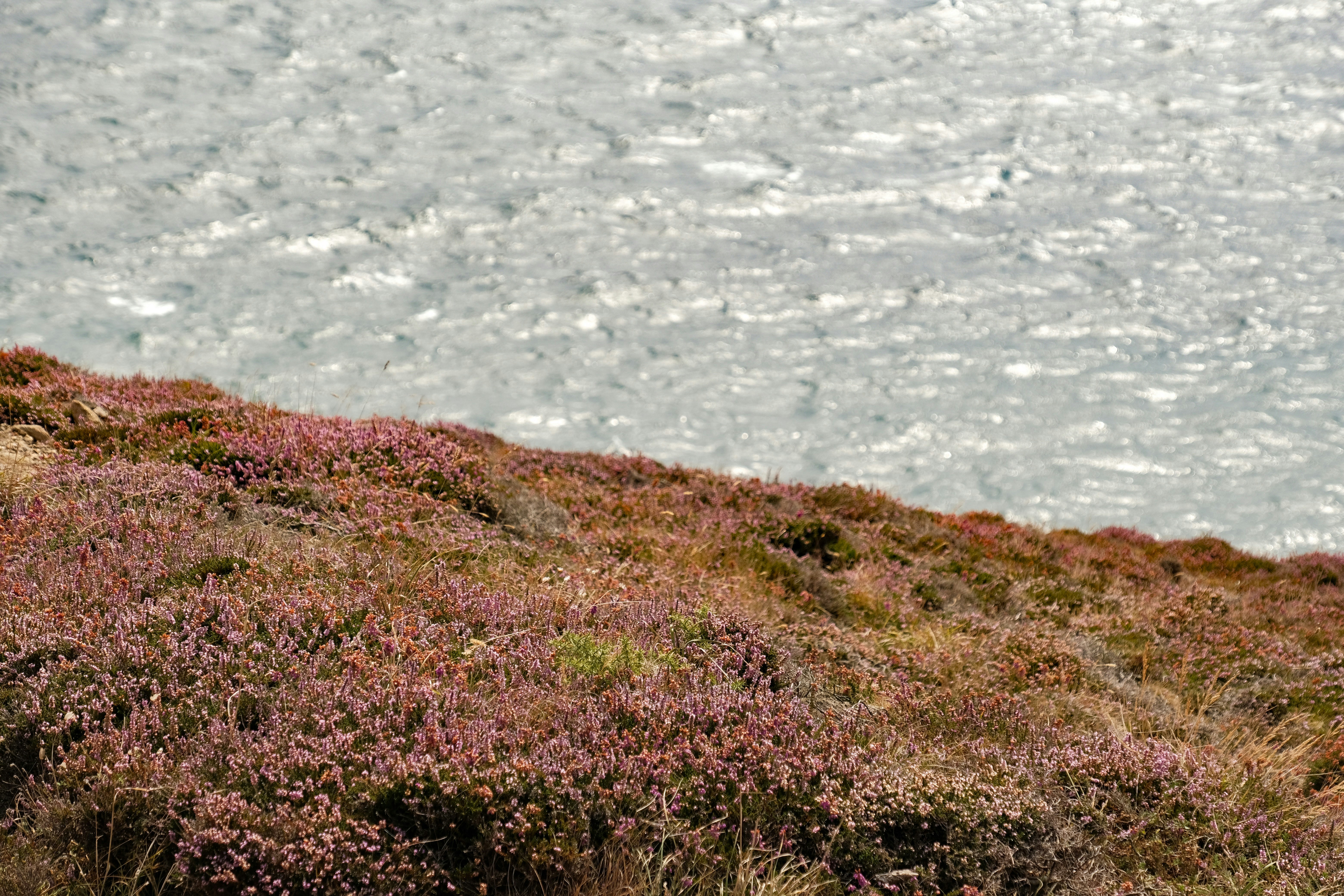 Photo by Robert Katzki with Fujifilm X-T30 II