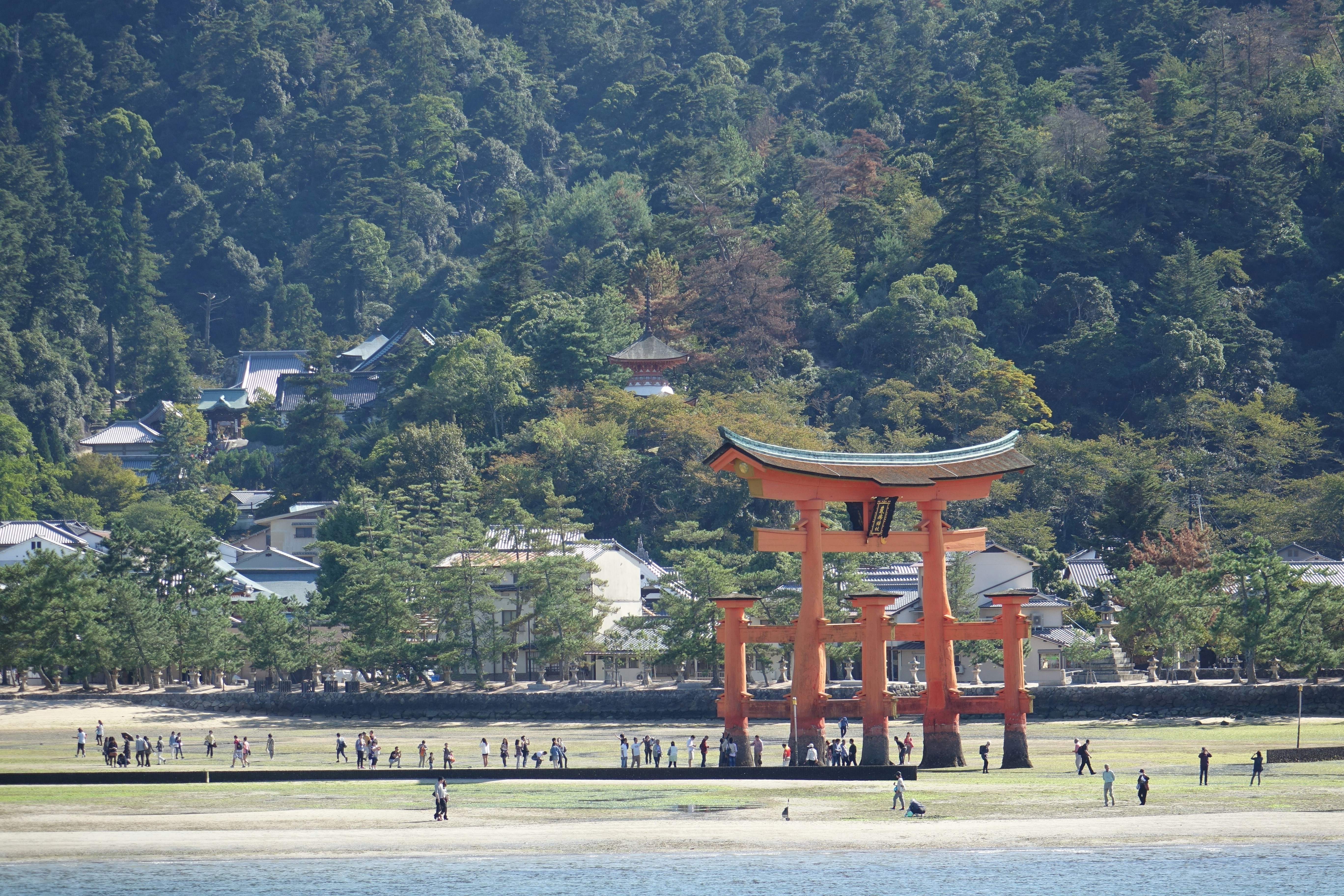 Floating Vermilion: Itsukushima's Torii Gate Resting Between Sea and Shore