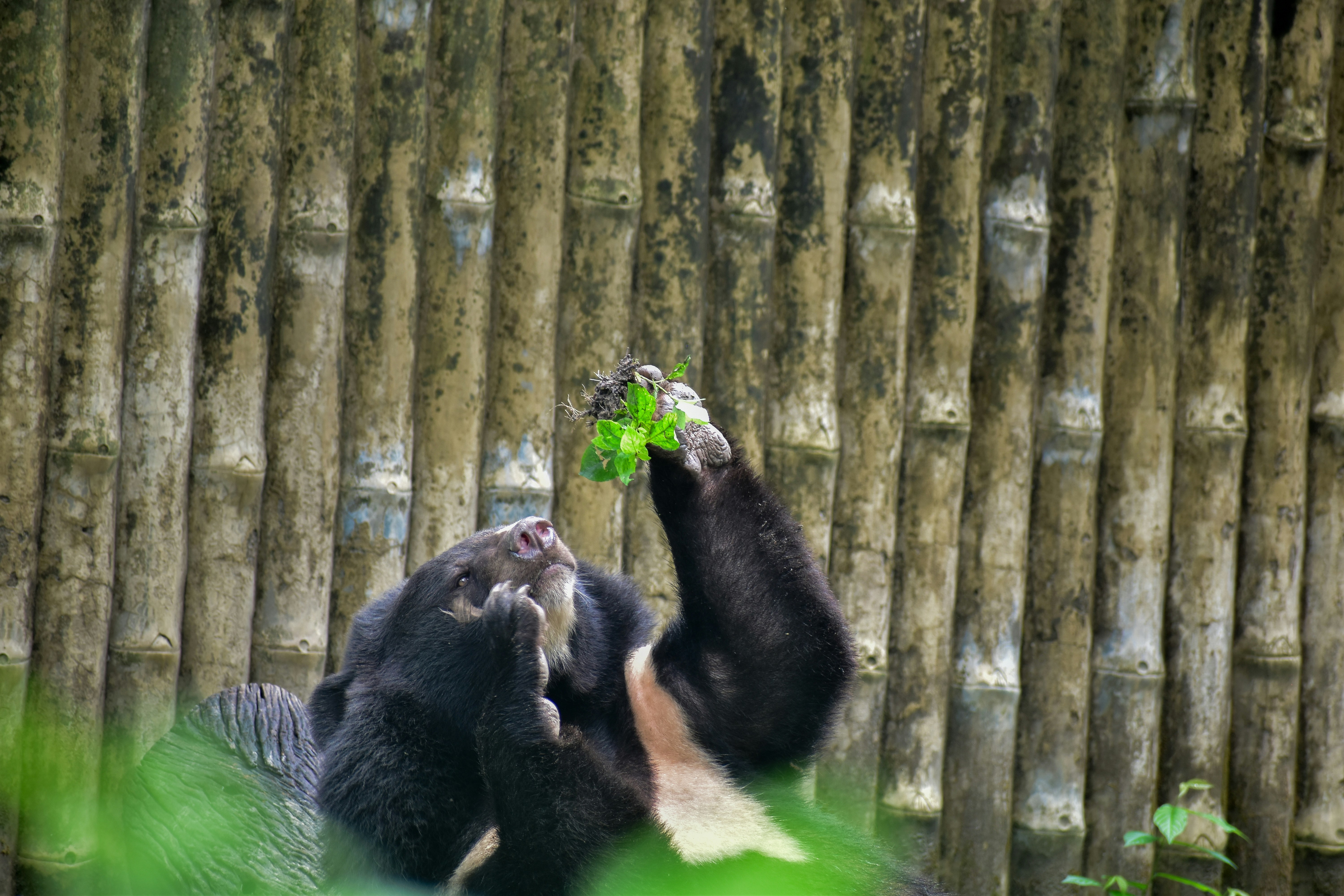 Photo by Pavan Kumar Nagendla with Nikon D5600