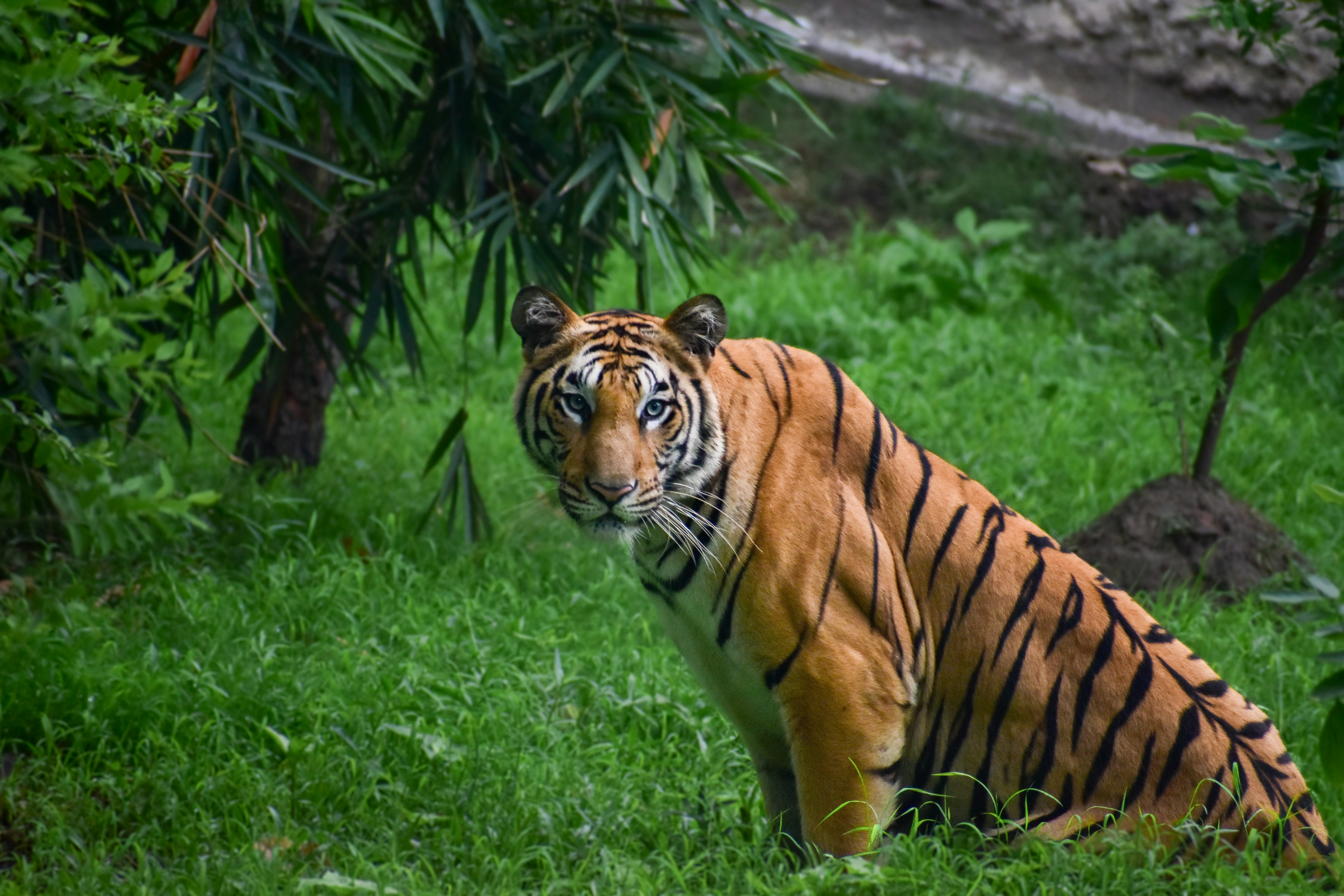 Photo by Pavan Kumar Nagendla with Nikon D5600