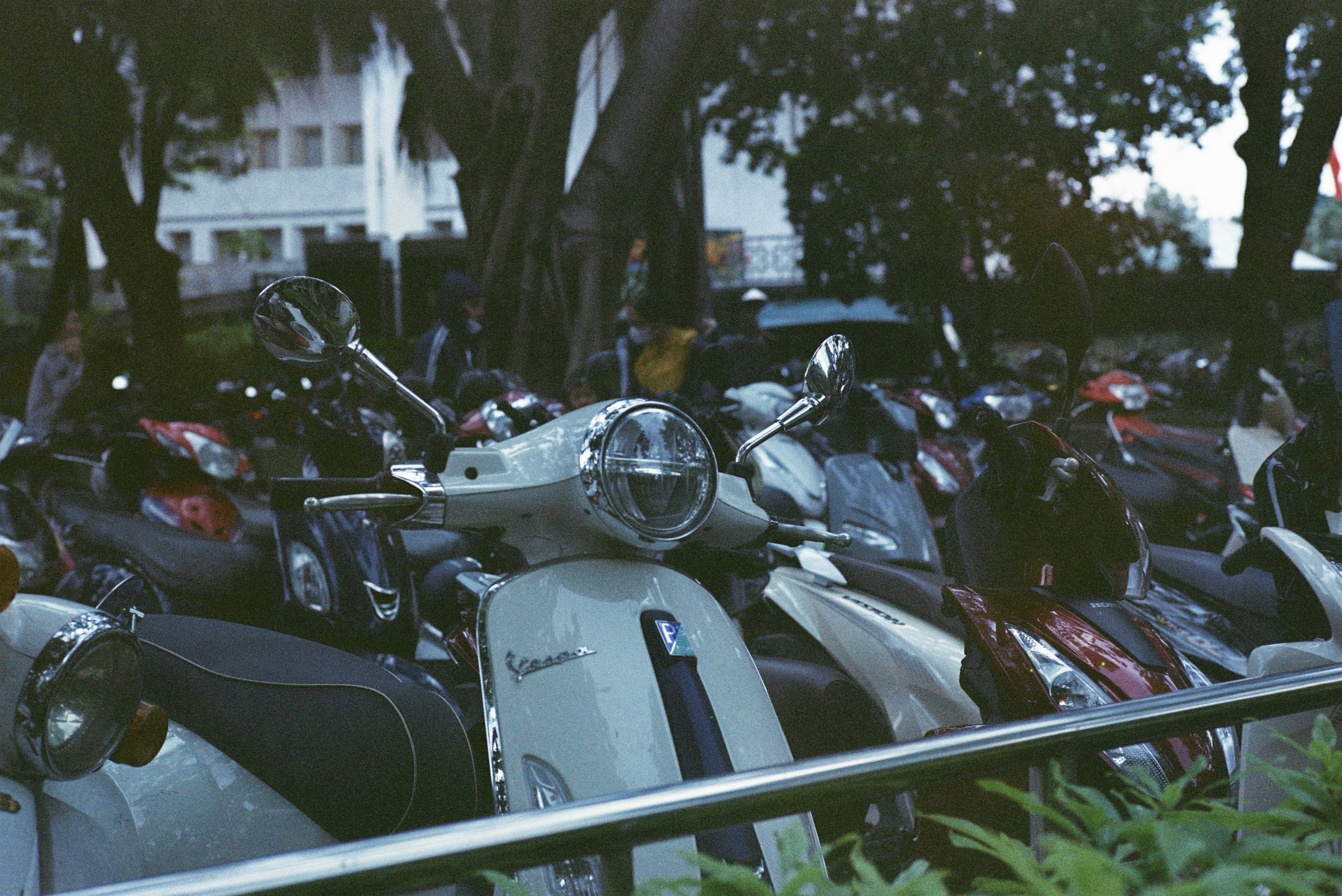 Pastel Parade: A Row of Vespa Scooters in Dappled Shade