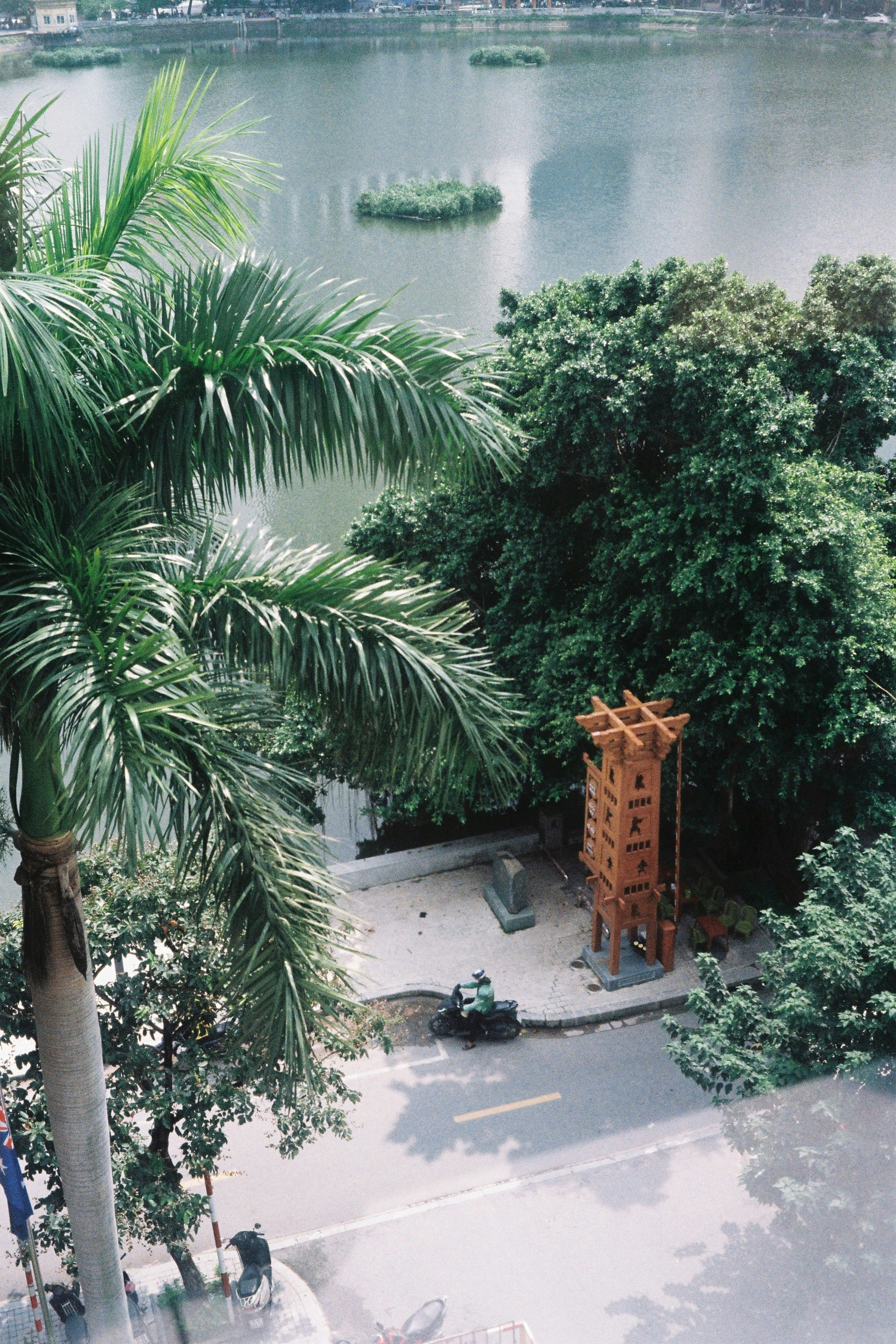 Palm Fronds Over a Tranquil Riverside Street with a Wooden Lantern