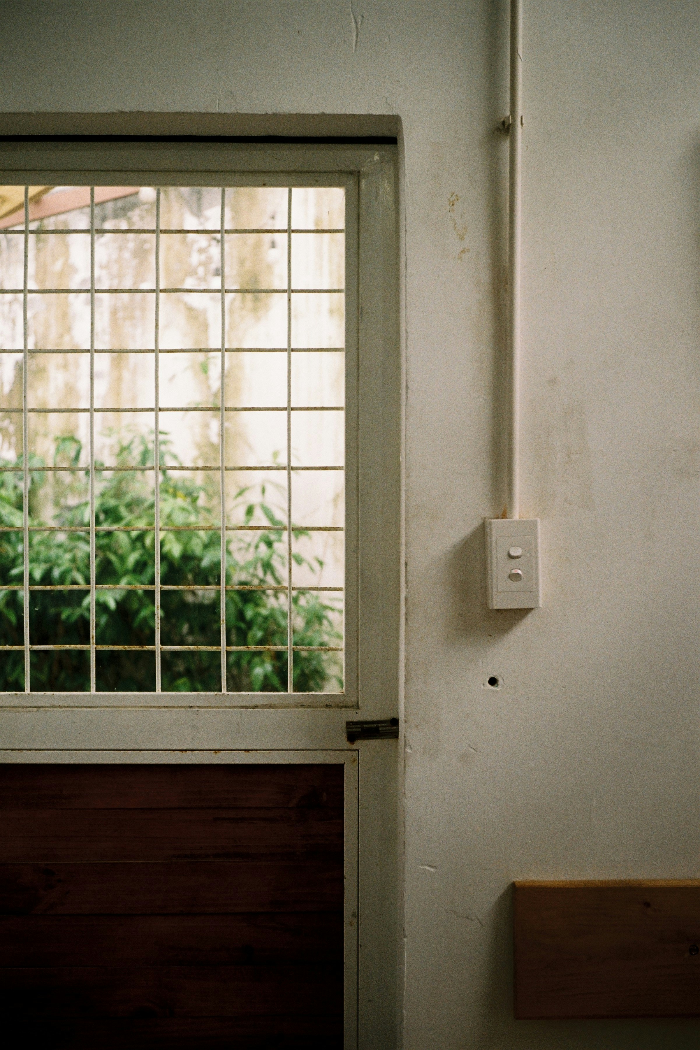 Pane by Pane: Soft Morning Light Through a Gridded Window