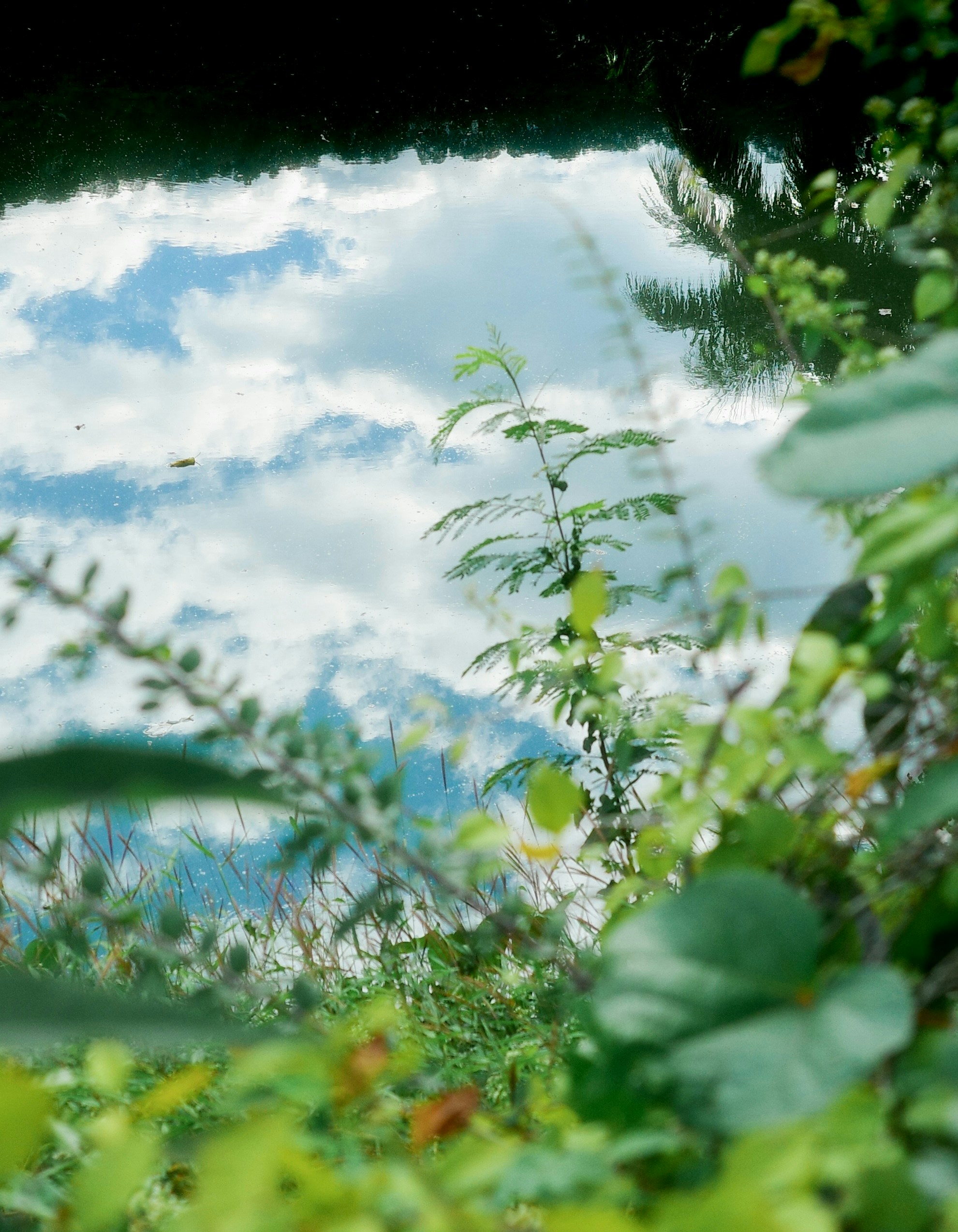 Photo by Lazzie with Ricoh GR IIIx