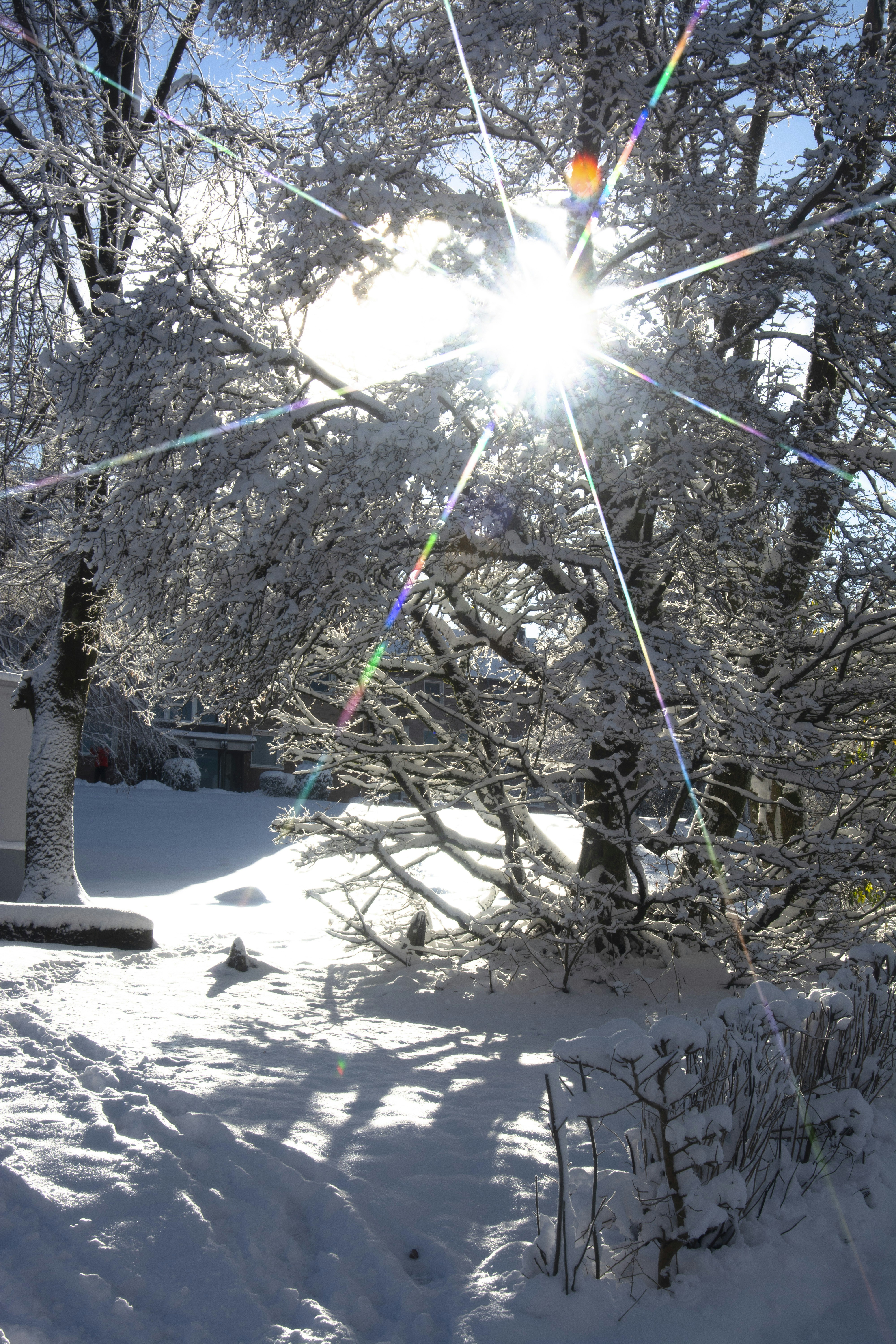 Photo by Oleksandr Brovko with Nikon D5200