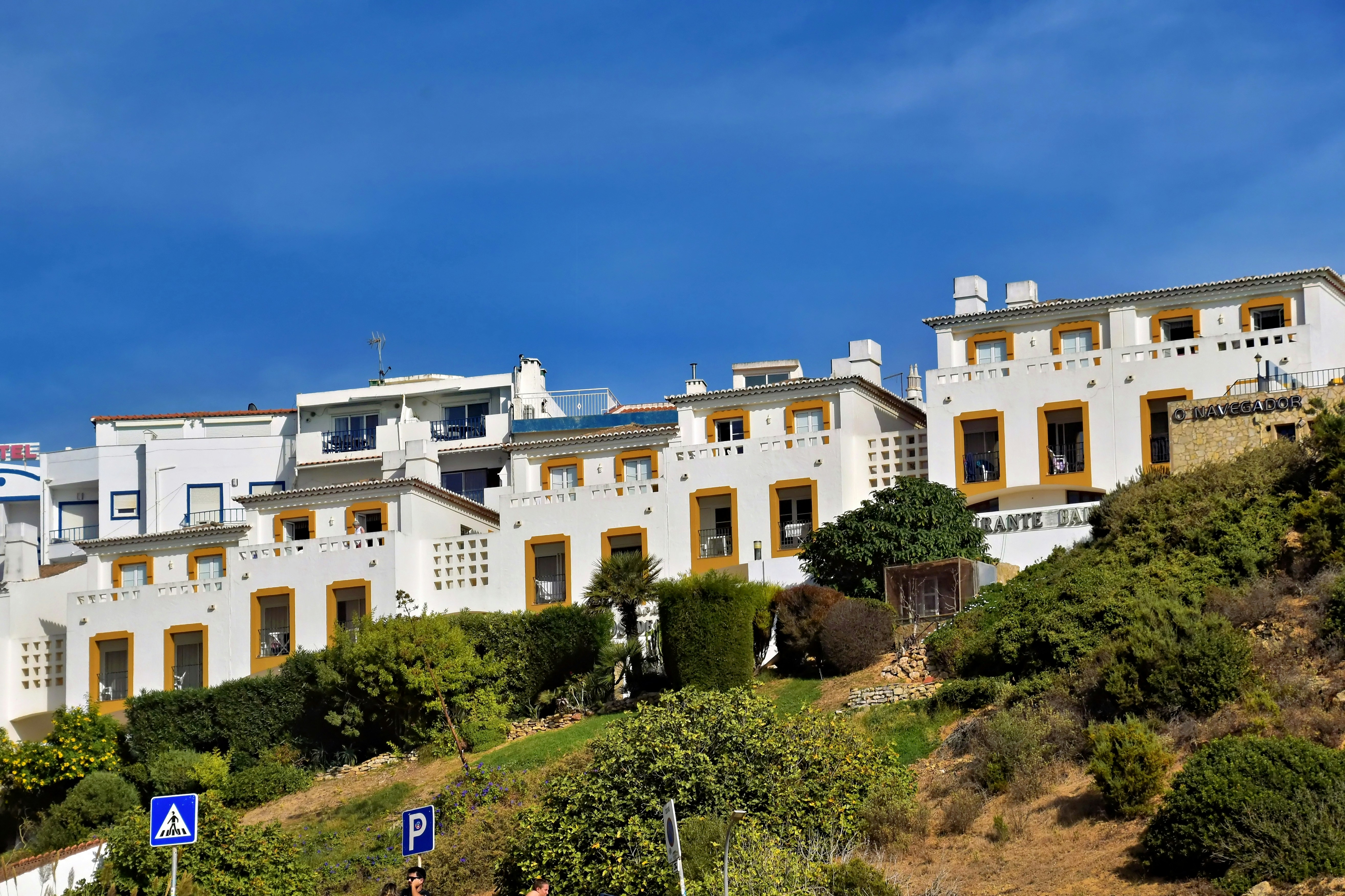 Photo by Jeffrey Eisen with Nikon D5600