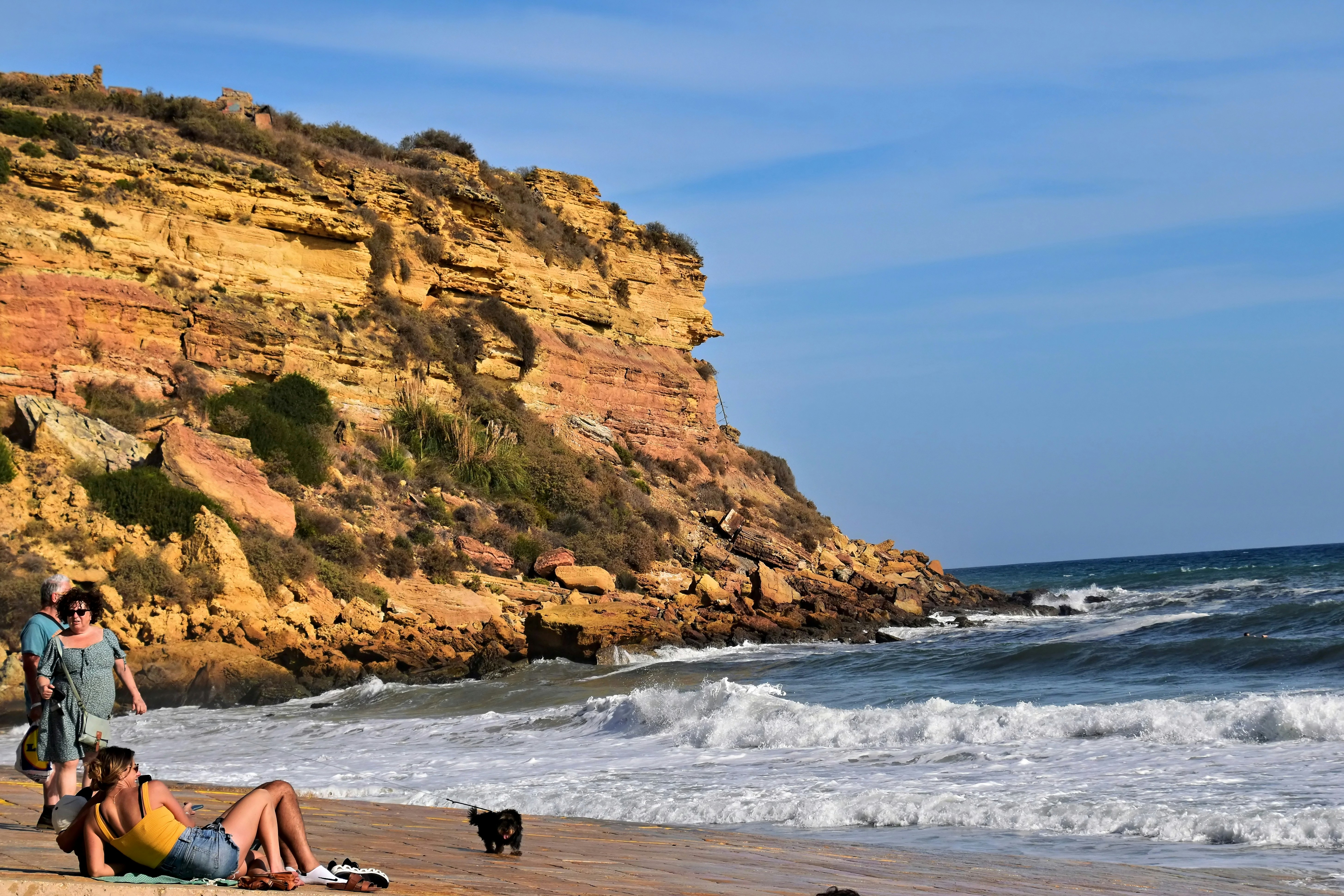 Photo by Jeffrey Eisen with Nikon D5600