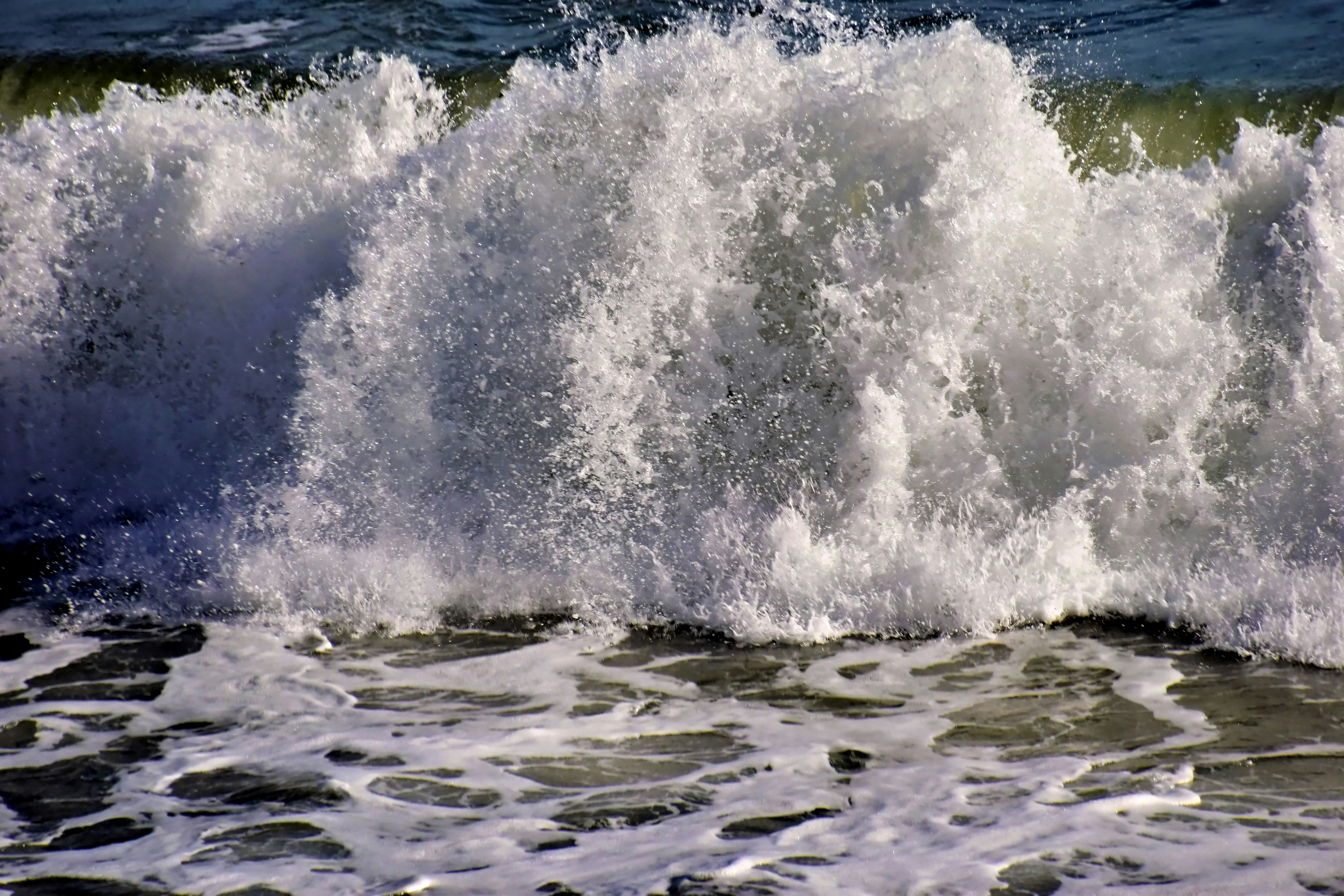 Photo by Jeffrey Eisen with Nikon D5600