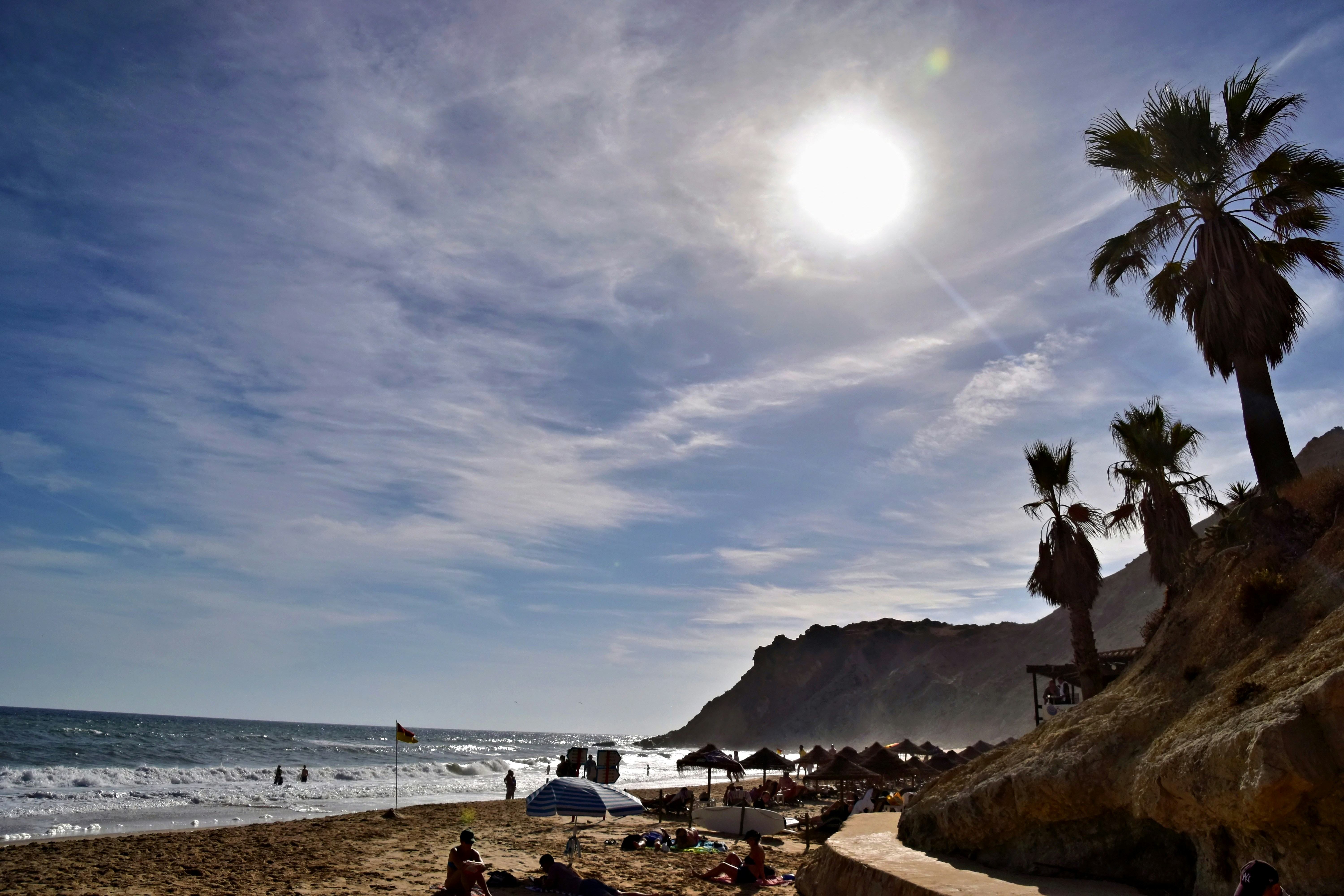Sunlit Beachscape Beneath a Palm-Lined Cliff