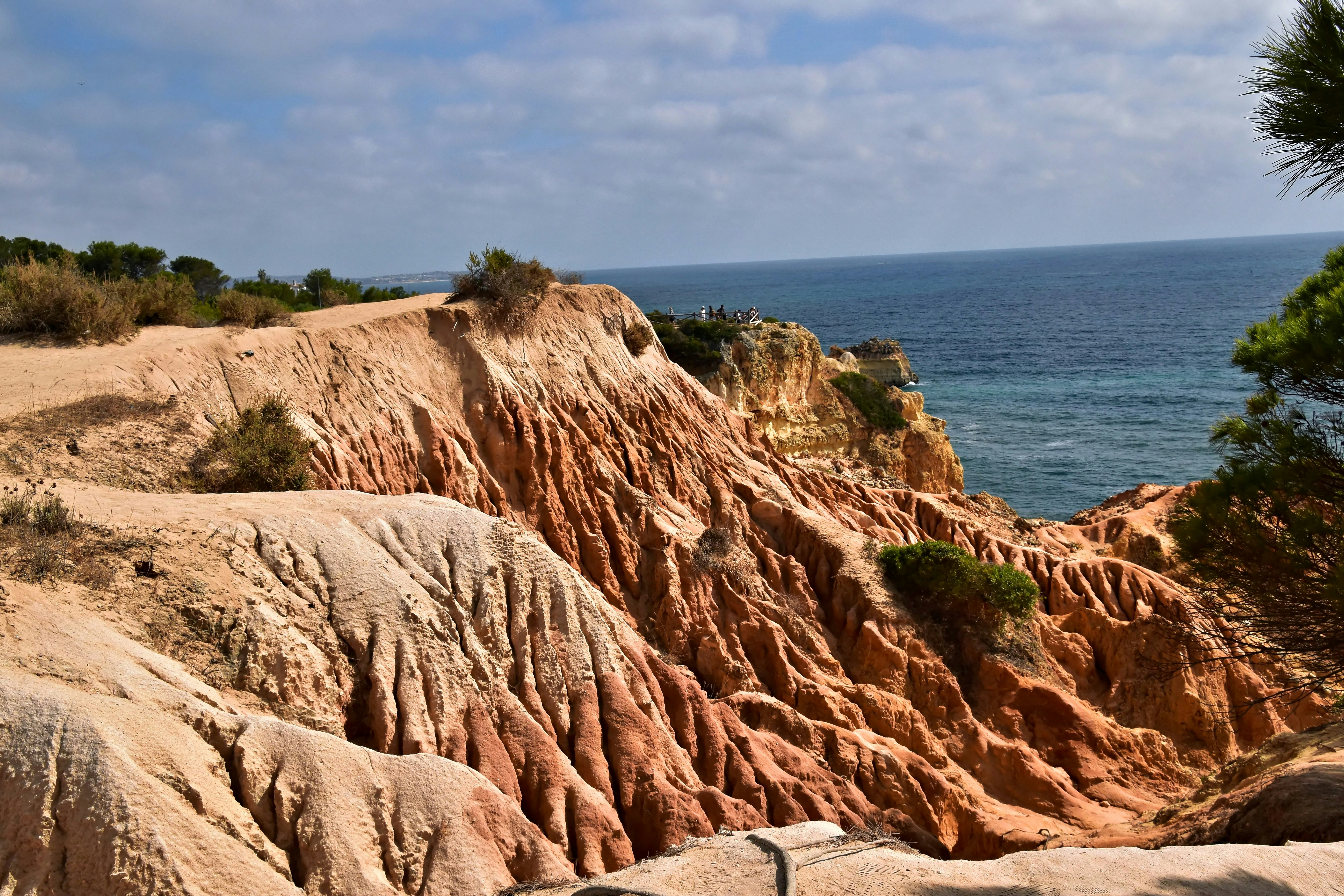 Photo by Jeffrey Eisen with Nikon D5600