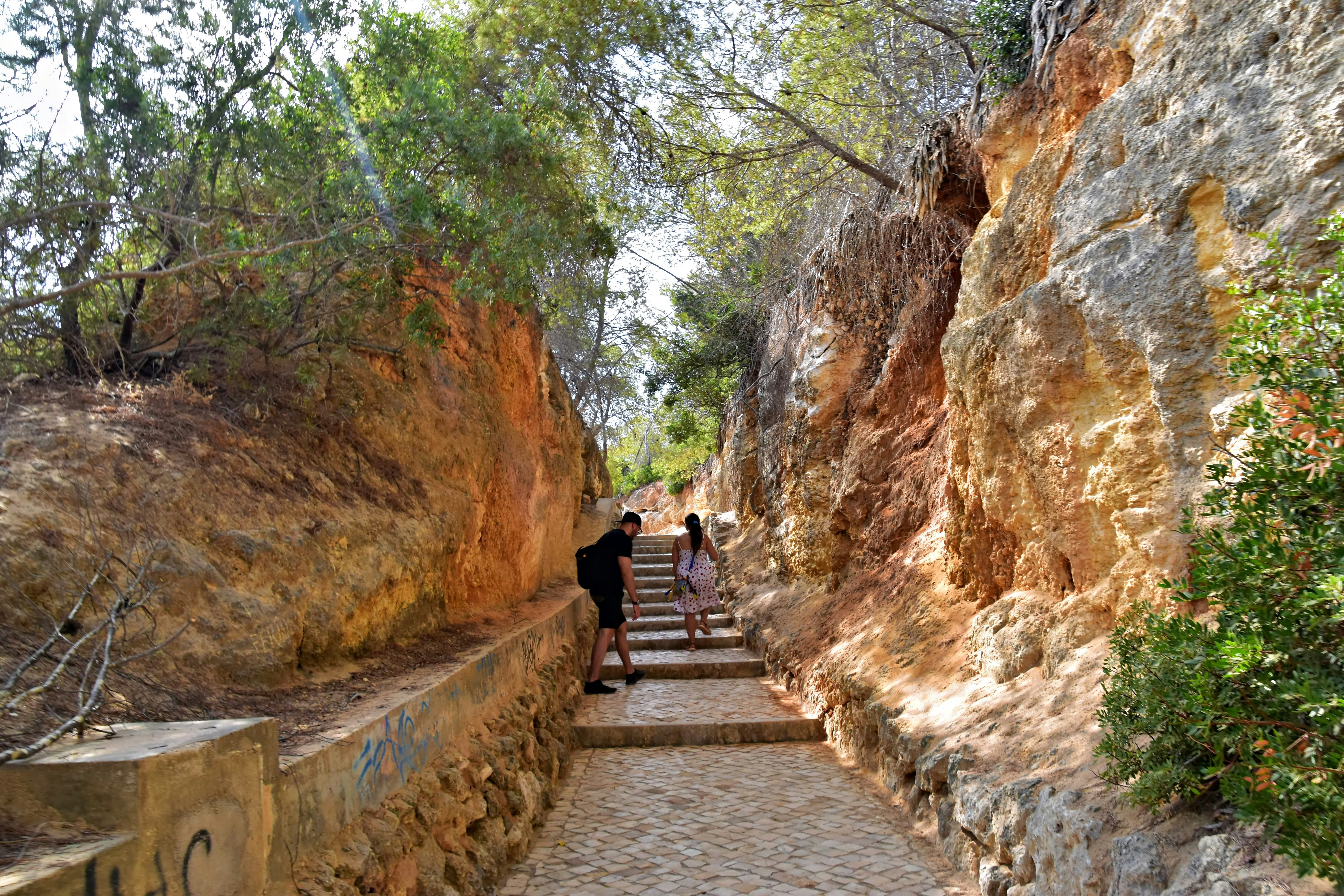 Photo by Jeffrey Eisen with Nikon D5600