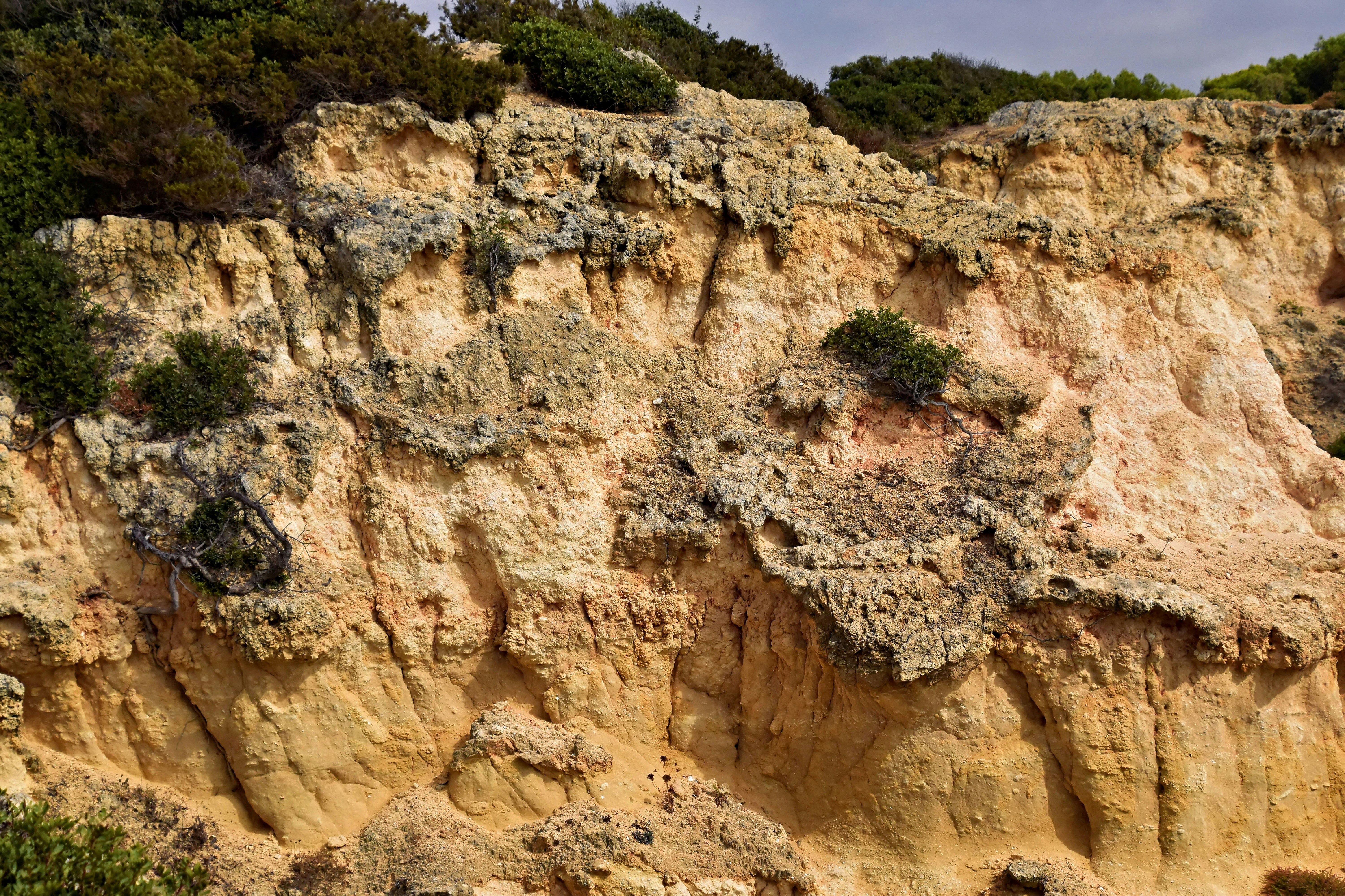 Sunlit Cliffscape: Weathered rock faces and sparse greenery along a rugged hillside