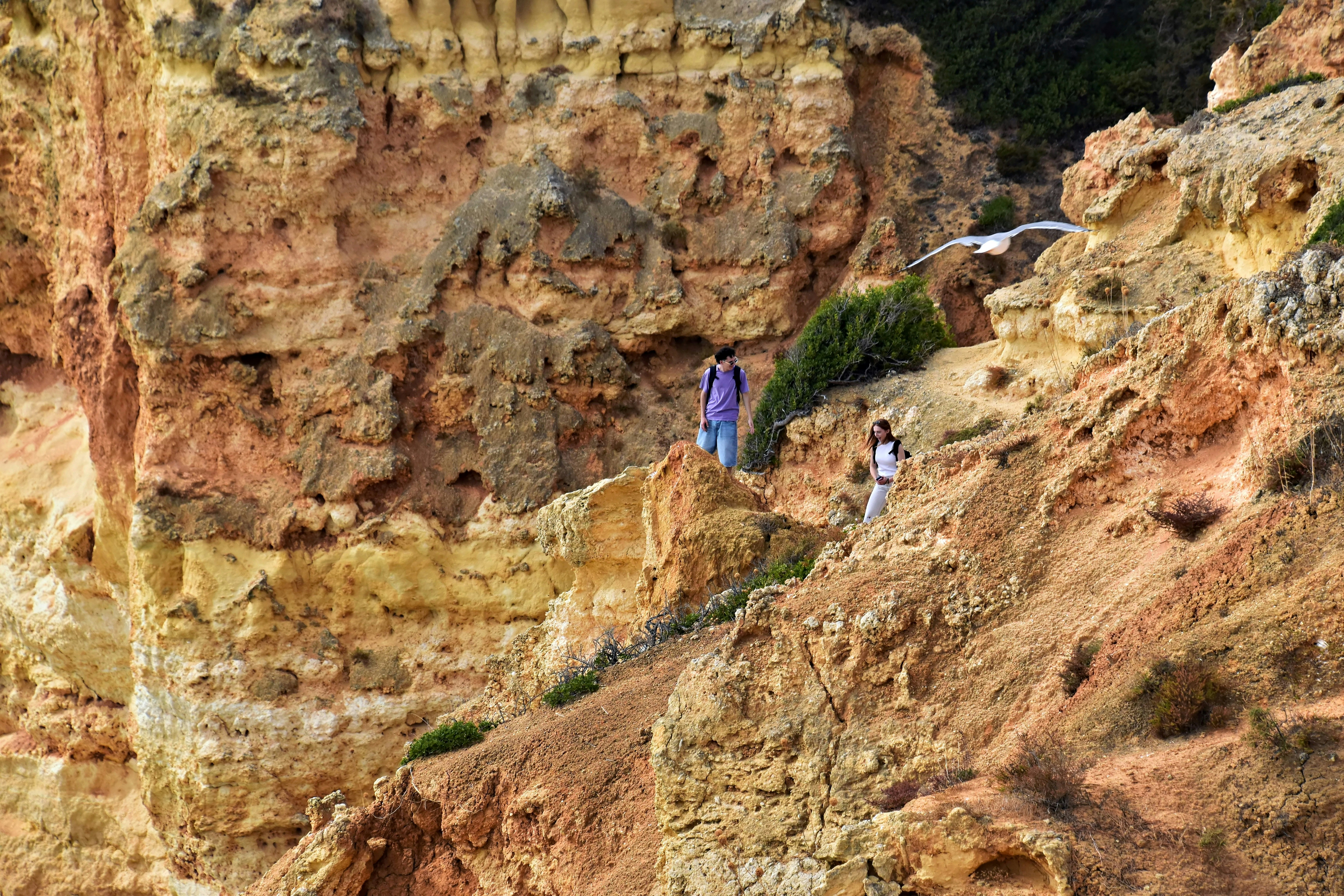 Edge of Discovery: Two Explorers on a Bronzed Cliff